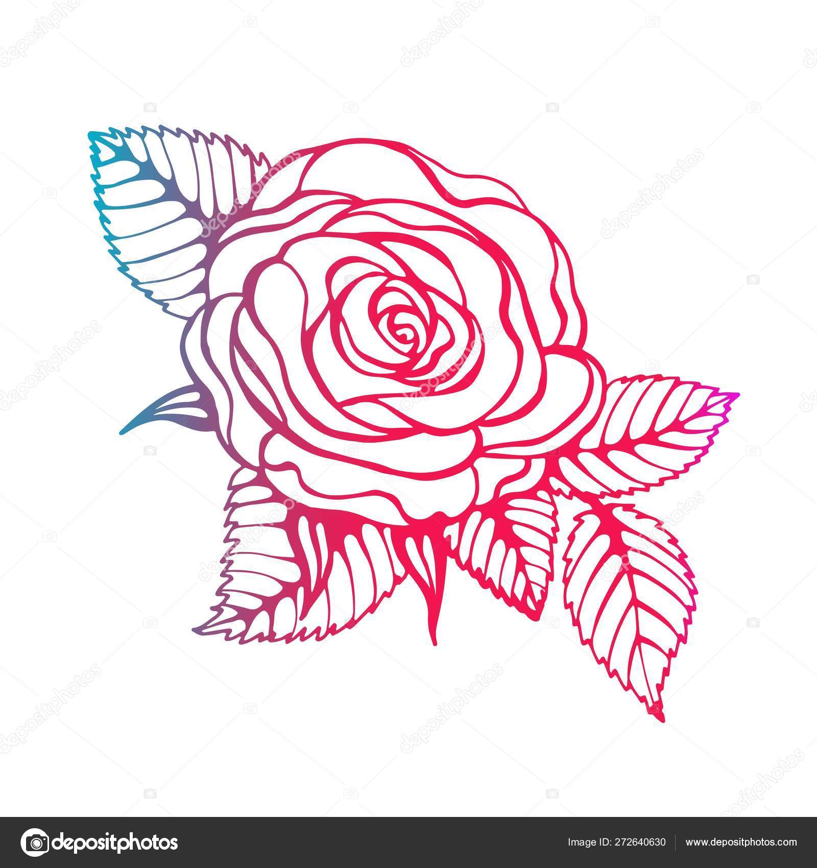 Beautiful black line art rose and leaves. Floral arrangement isolated ...