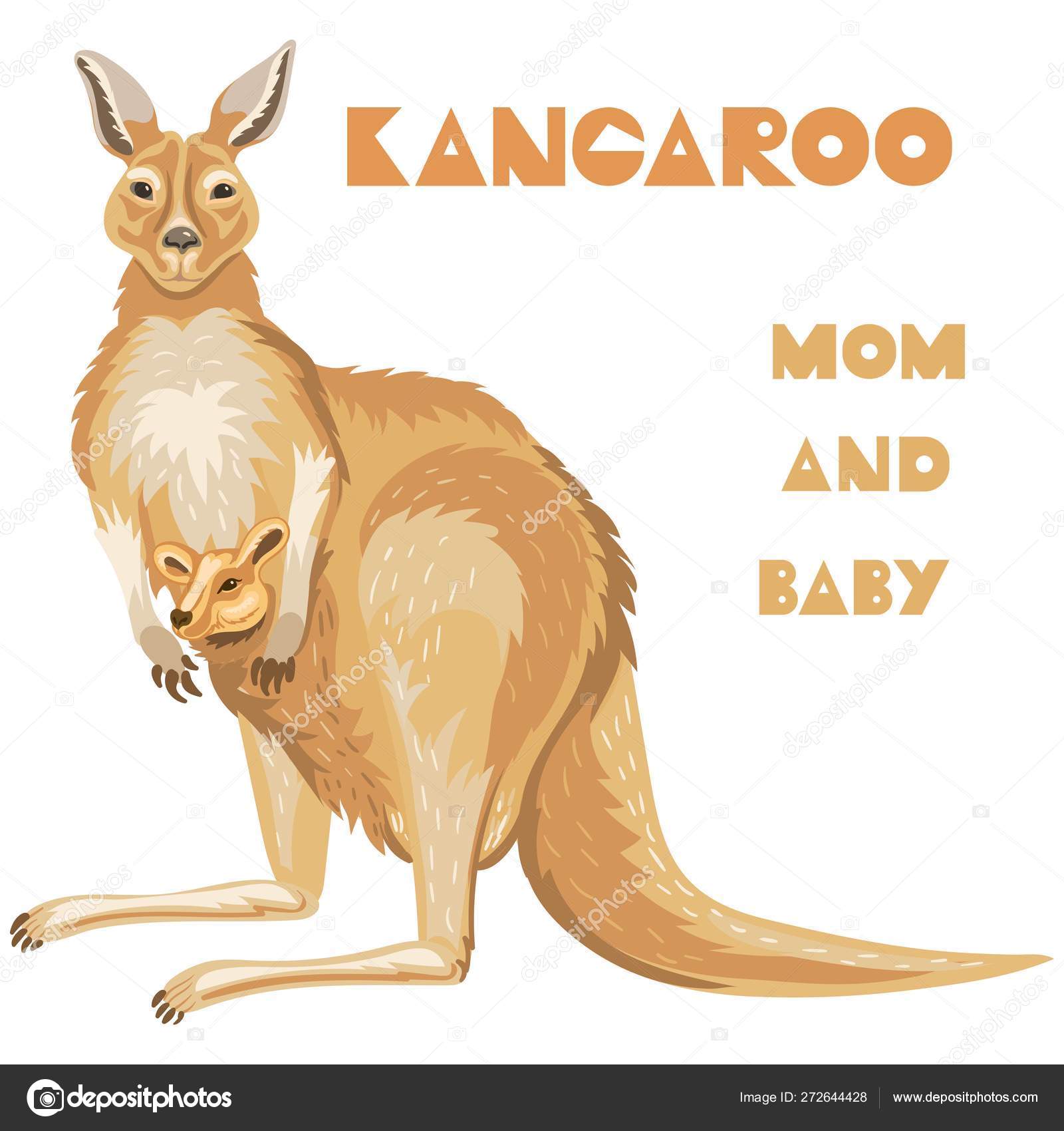 Vector realistic illustration of a cute mom kangaroo with a little baby ...