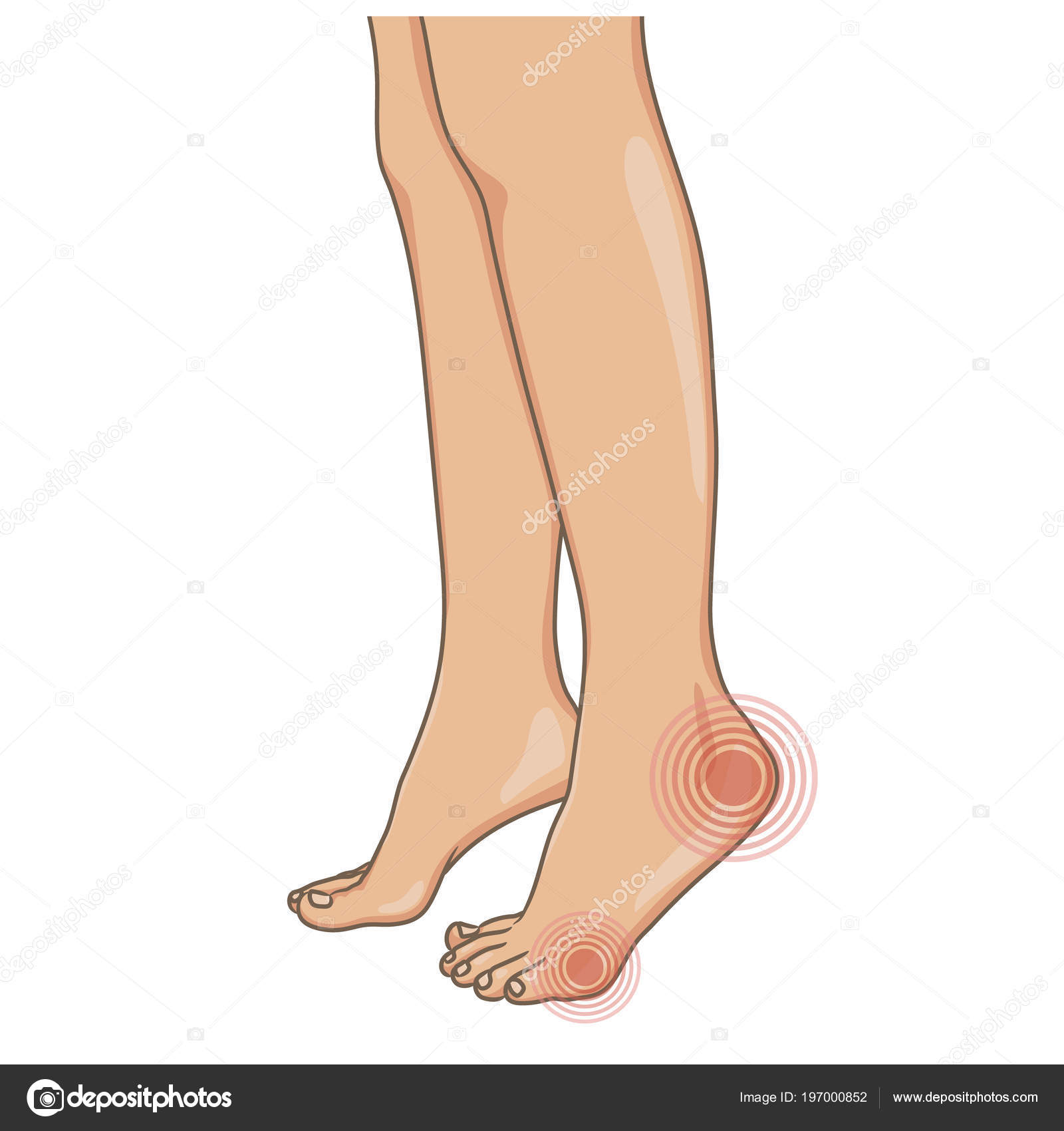 Female Legs Barefoot Side View Vector Illustration Hand Drawn Cartoon ...