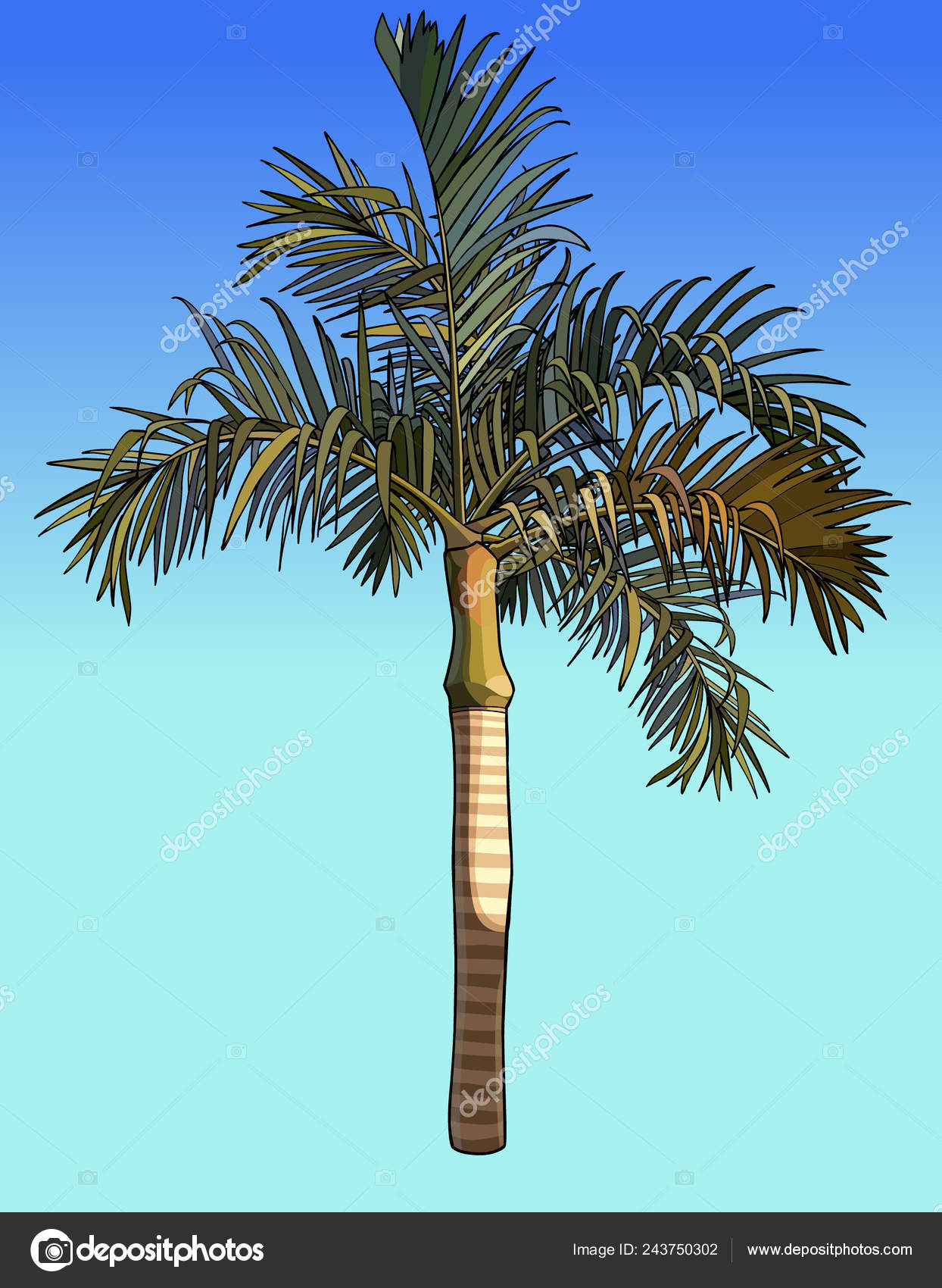 Painted Small Palm Tree Fluffy Leaves Blue Background Stock Vector ...