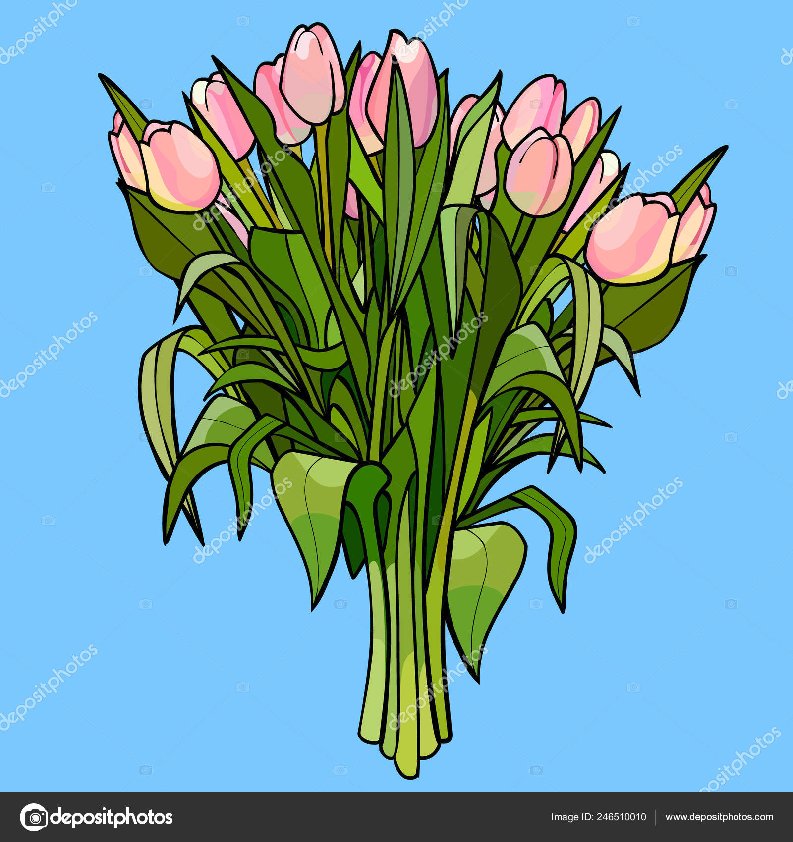 Cartoon Big Bouquet Pink Tulips Blue Background Stock Vector Image by ...