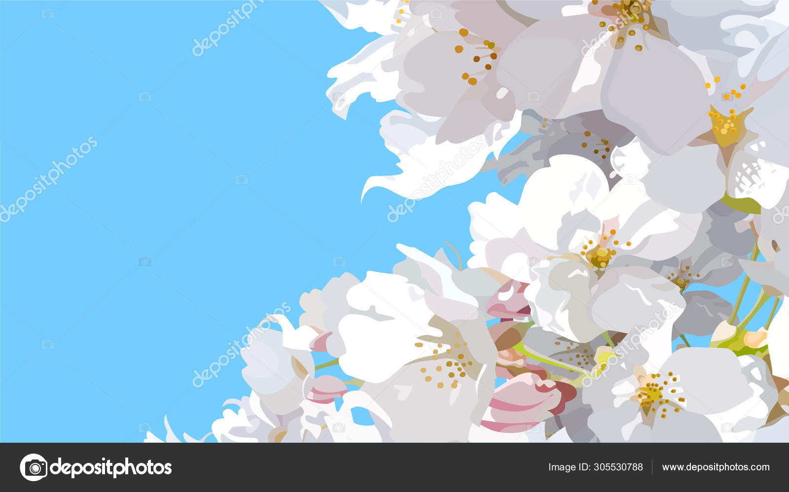 Spring background with white flowers on sky background — Stock Vector ...