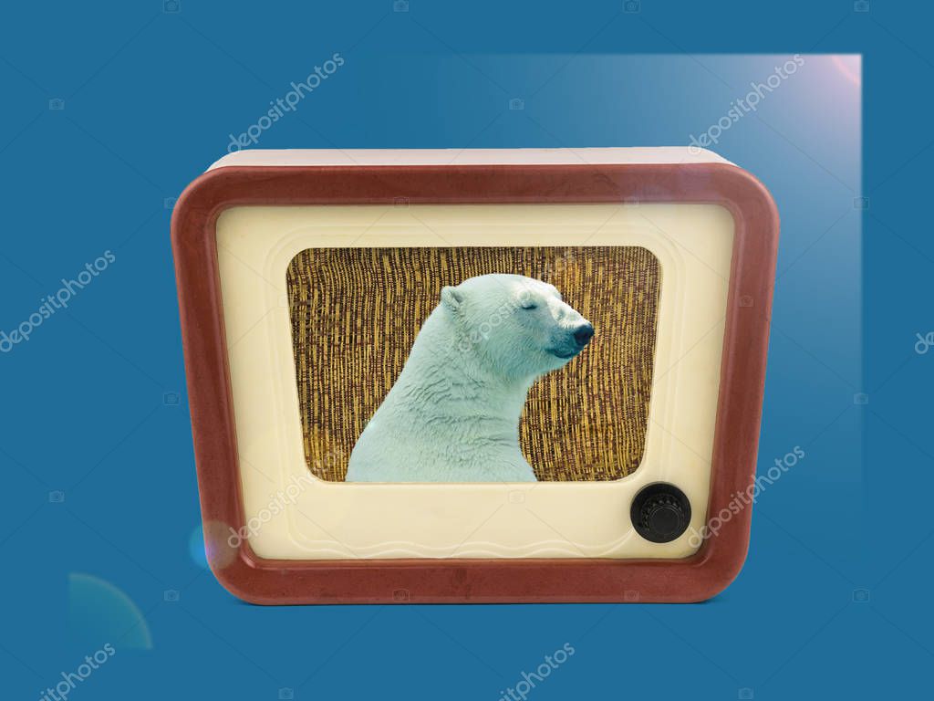Un collage moderno de un oso polar en una vieja pantalla de TV. Arte ...