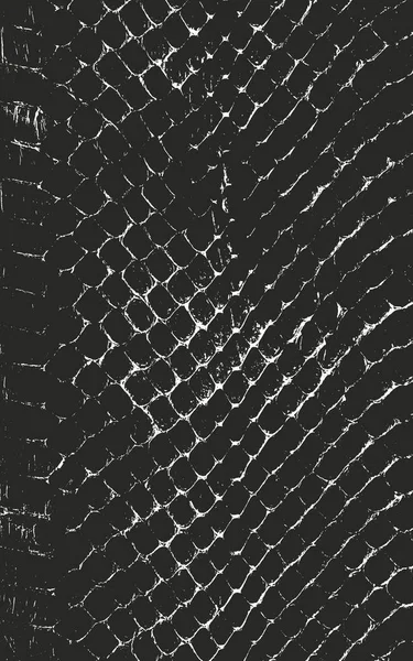 29,018,953 Snake skin Vector Images | Depositphotos