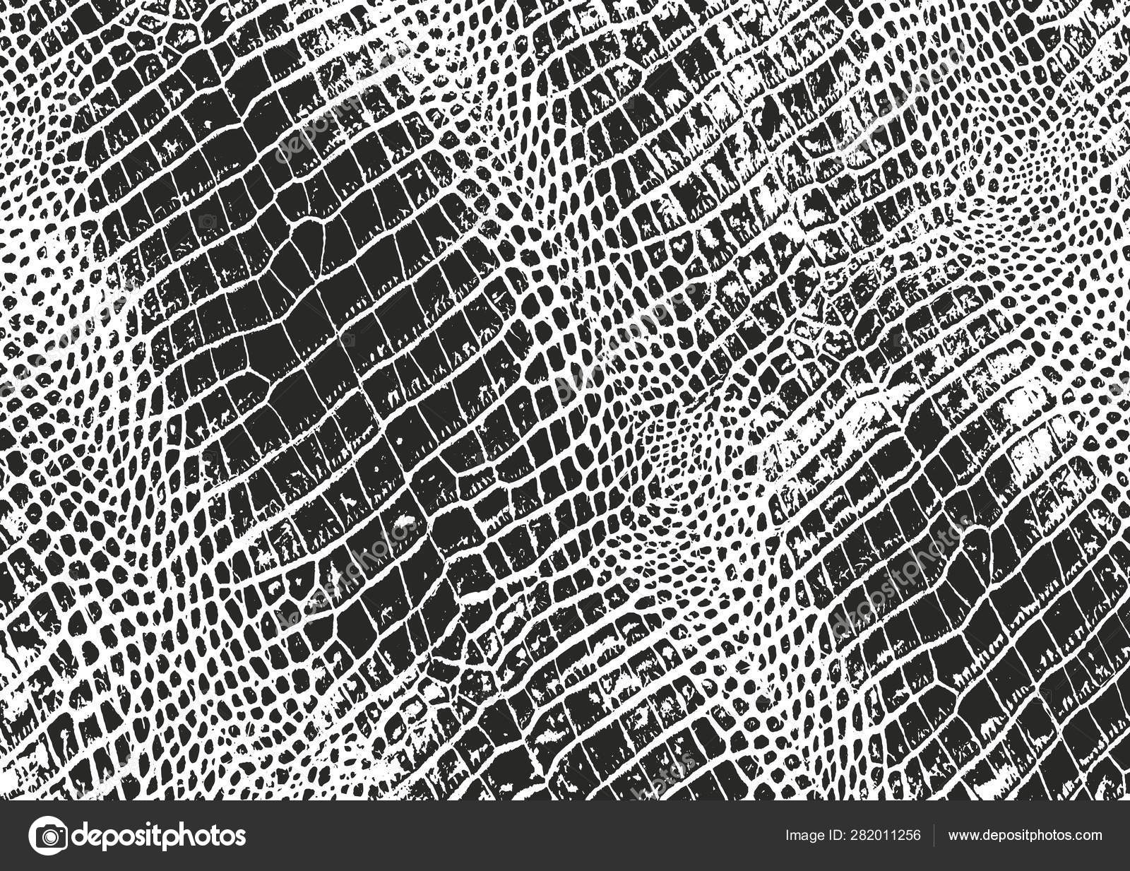 Distressed overlay animal skin texture Stock Vector Image by ©anya ...