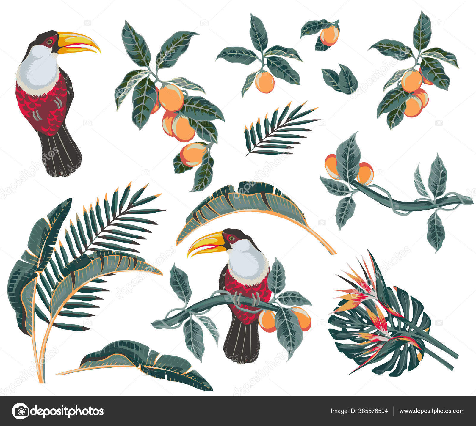 Set Design Tropical Elements Exotic Flowers Mango Fruits Creepers Bird ...
