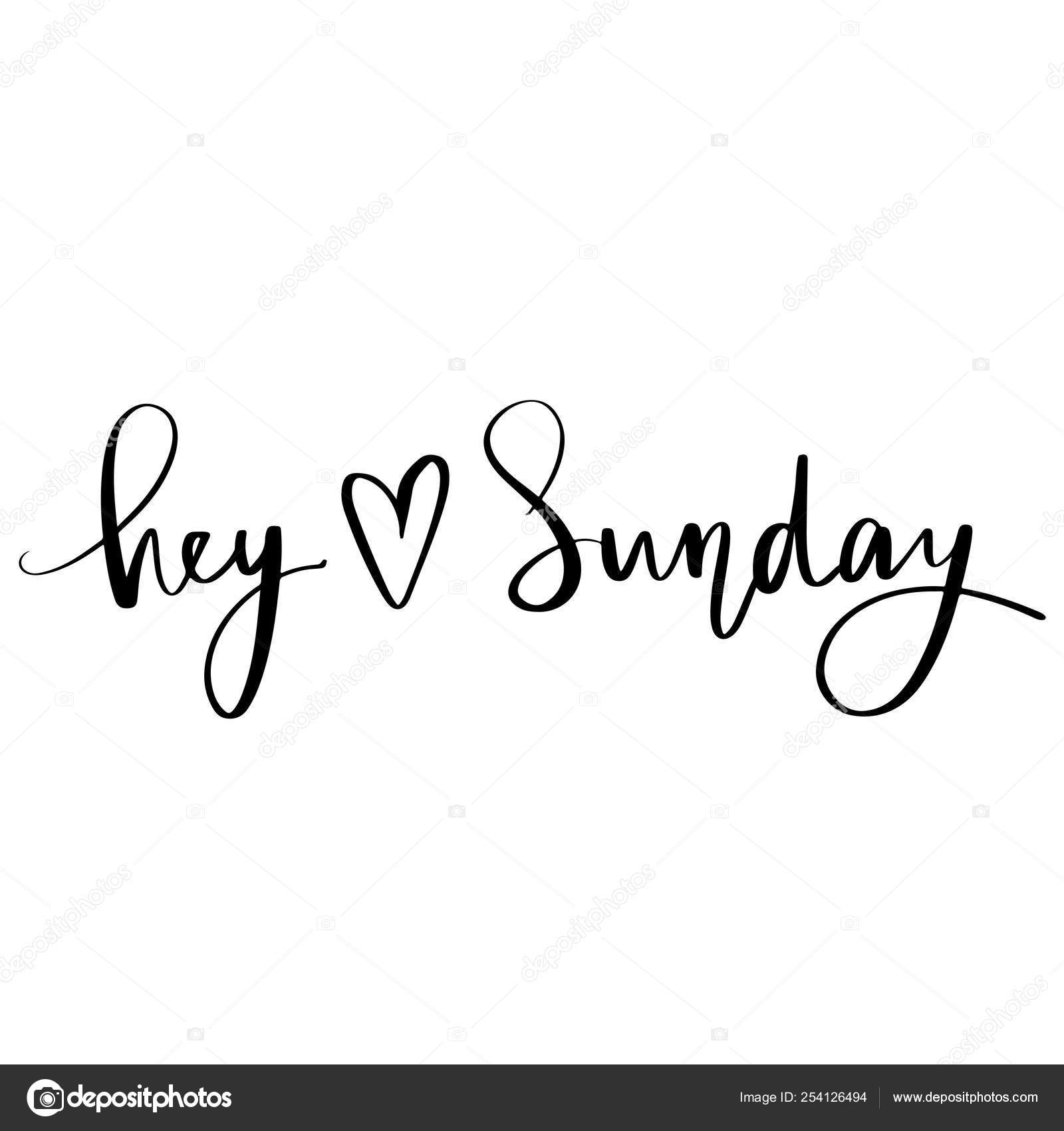 Vector hand drawn lettering phrase. Modern brush calligraphy. Stock ...