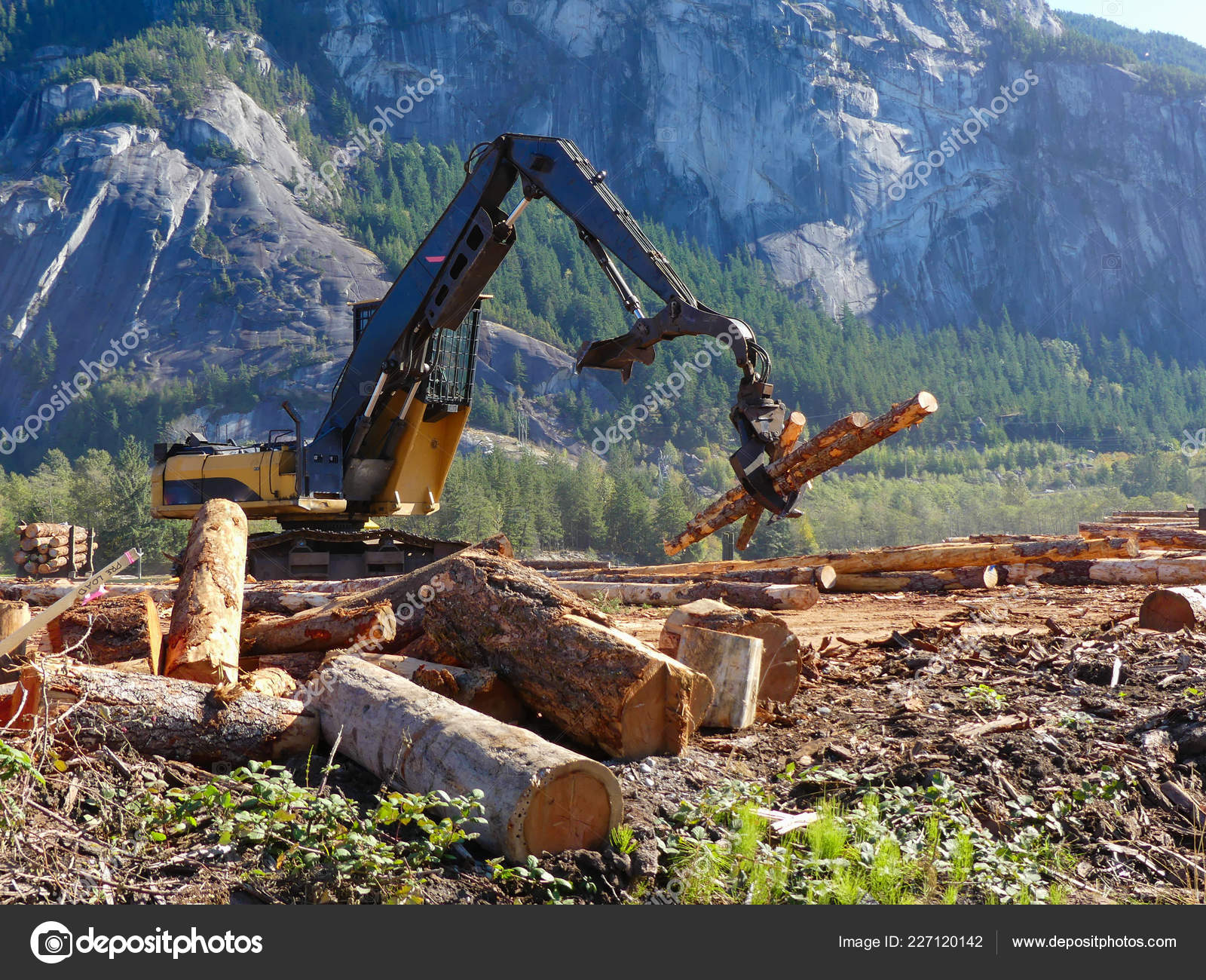 Wood lifter moving timber piles business Stock Photo by ©Movieaboutyou ...