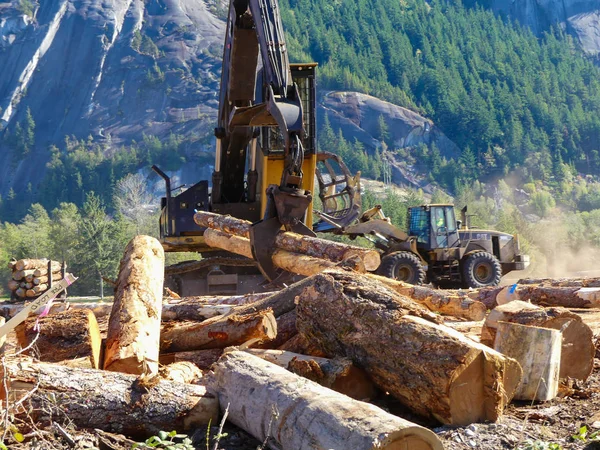 Wood lifter moving timber piles business Stock Photo by ©Movieaboutyou ...