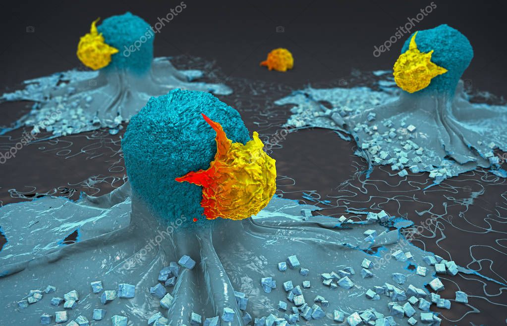 3d ilustraci n de una c lula cancerosa atacada y asesinada por linfocitos 2024