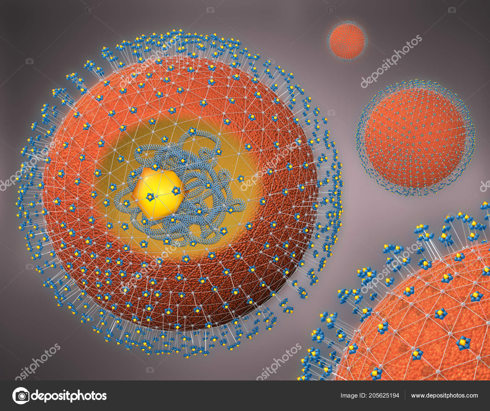 Illustration Cross Section Hepatitis Pathogen Rns Cell Nucleus ...