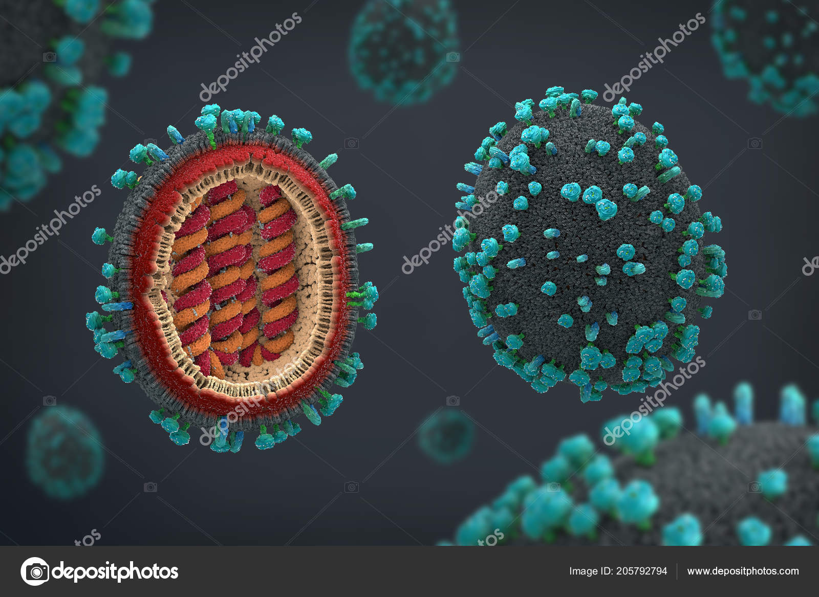 Illustration Scientifically Correct Representation Flu Pathogens Cross ...