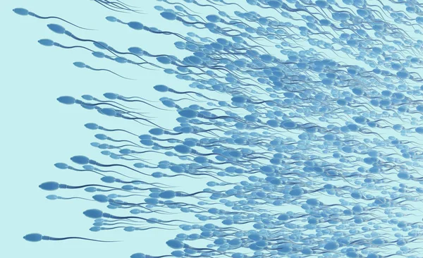 Illustration of an egg cell and sperms moving towards it Stock Photo by ...