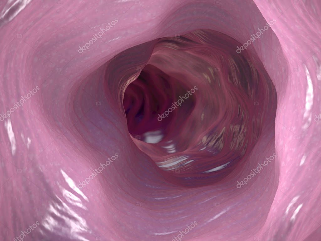 Ilustración 3d del lado interno del colon o del tracto intestinal 2024
