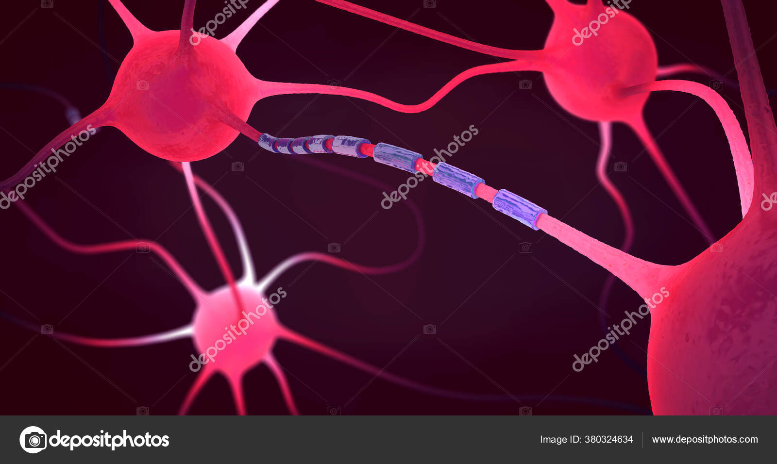 Connected Nerve Cells Neurons Illustration Stock Photo by ©Burgstedt ...