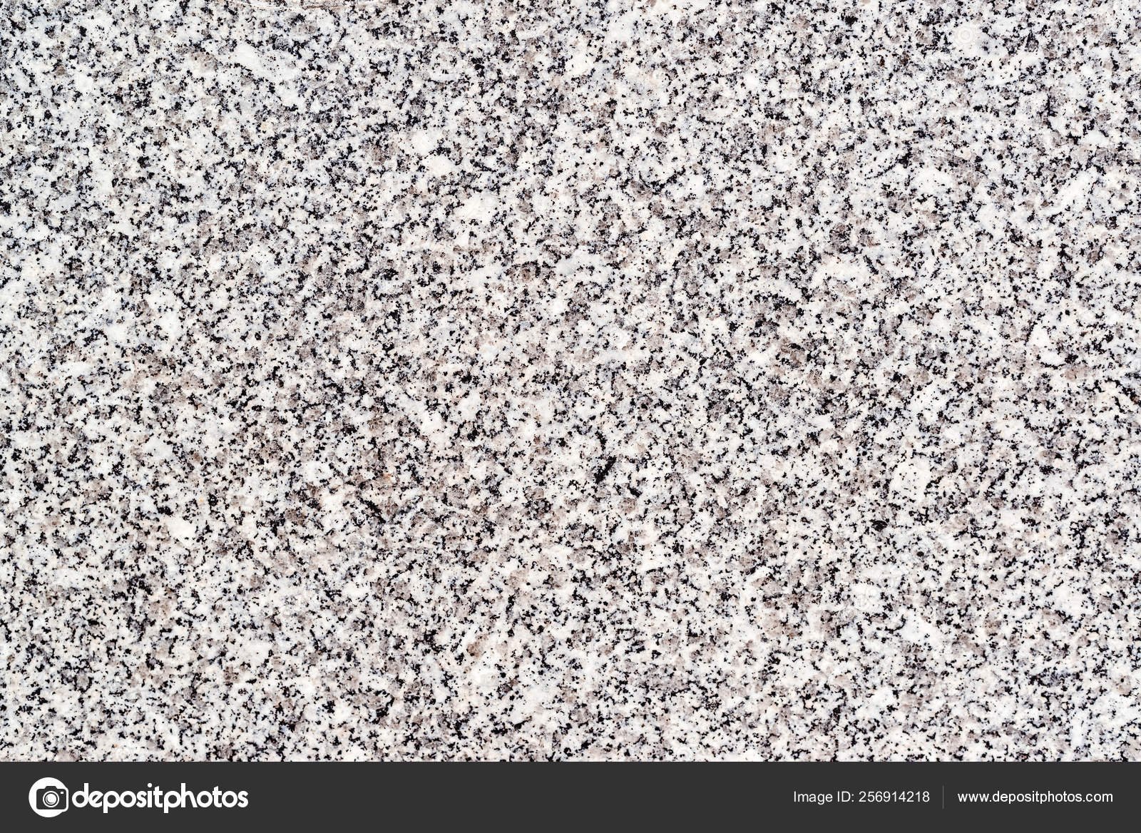 Polished White Granite Texture