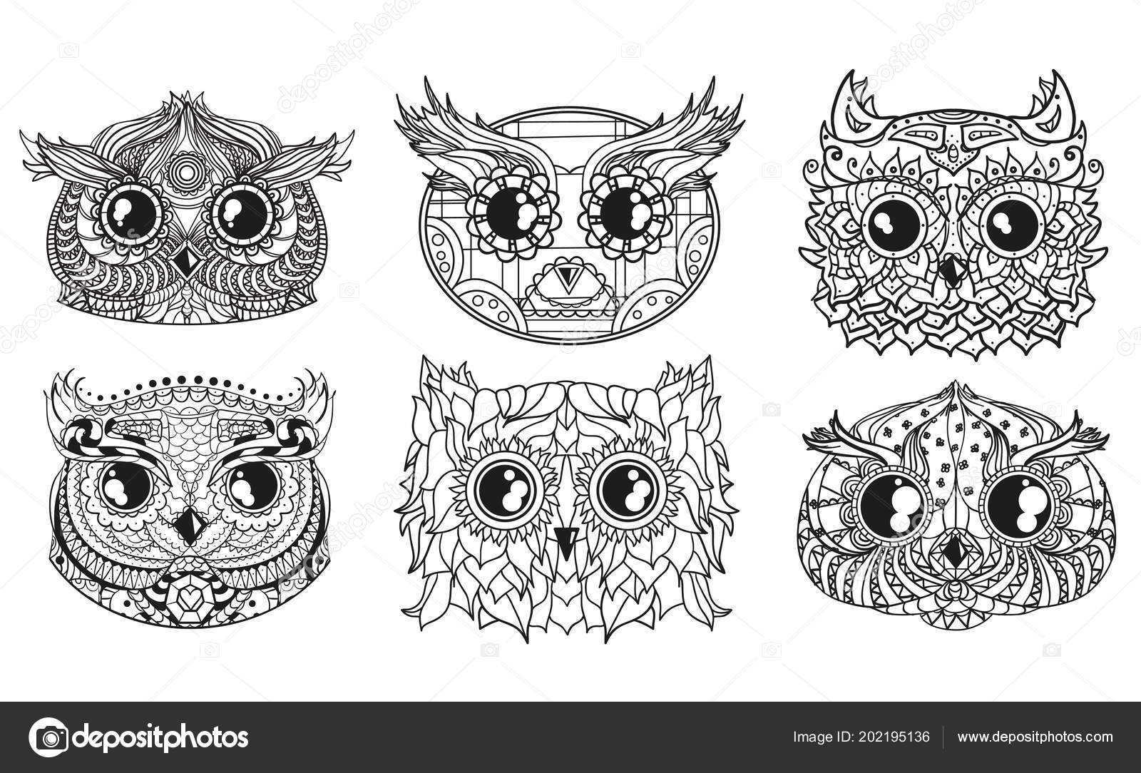 Owls Heads Design Zentangle Hand Drawn Owl Abstract Patterns Isolation ...