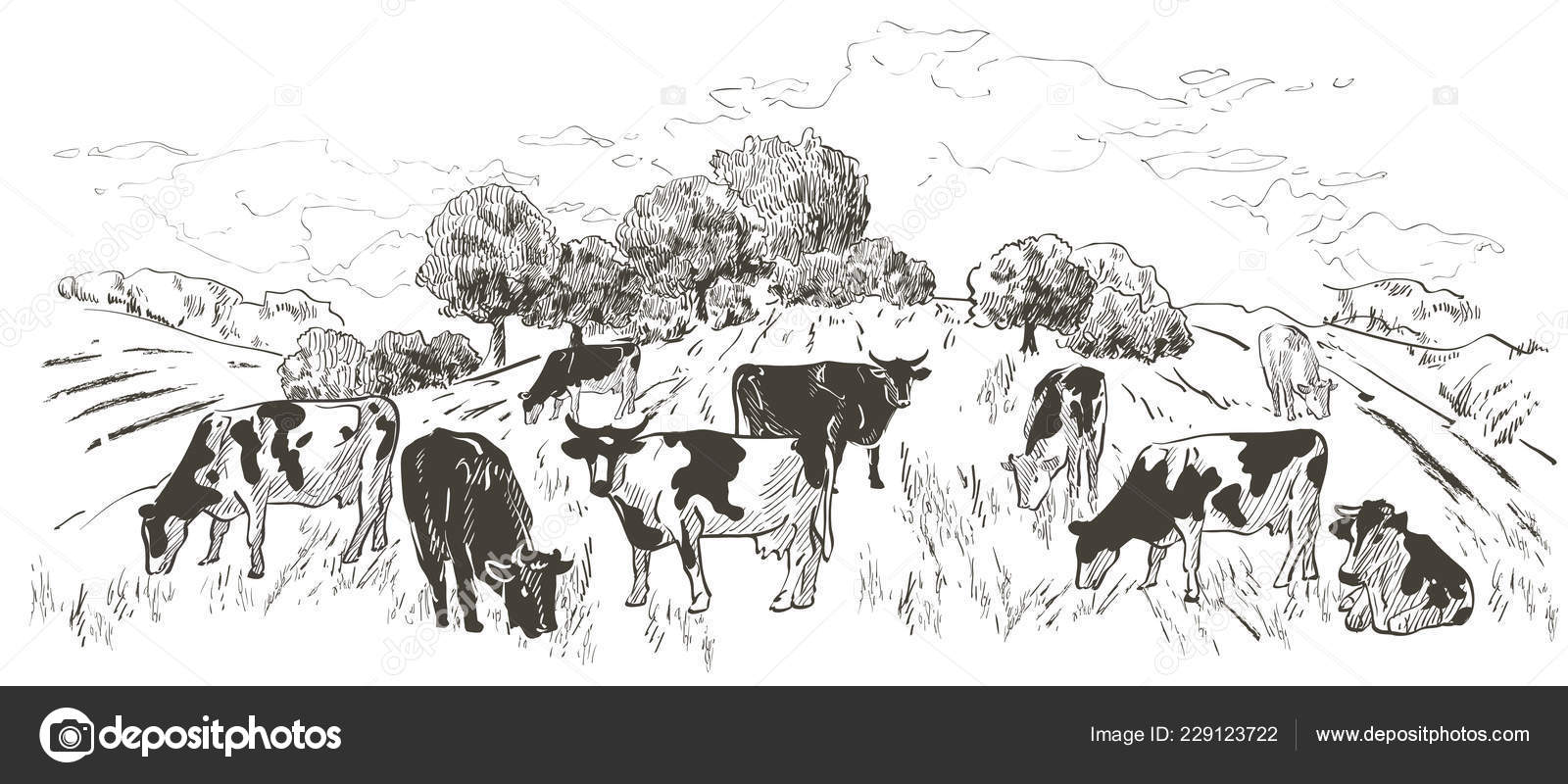 Landscape with flock of cows, calves, field Stock Vector Image by ...