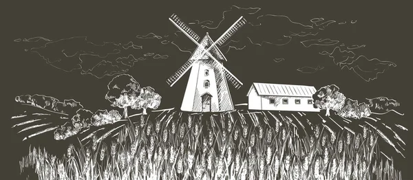Rural Dutch Landscape Windmill Wheat Field Set Traditional Windmill ...
