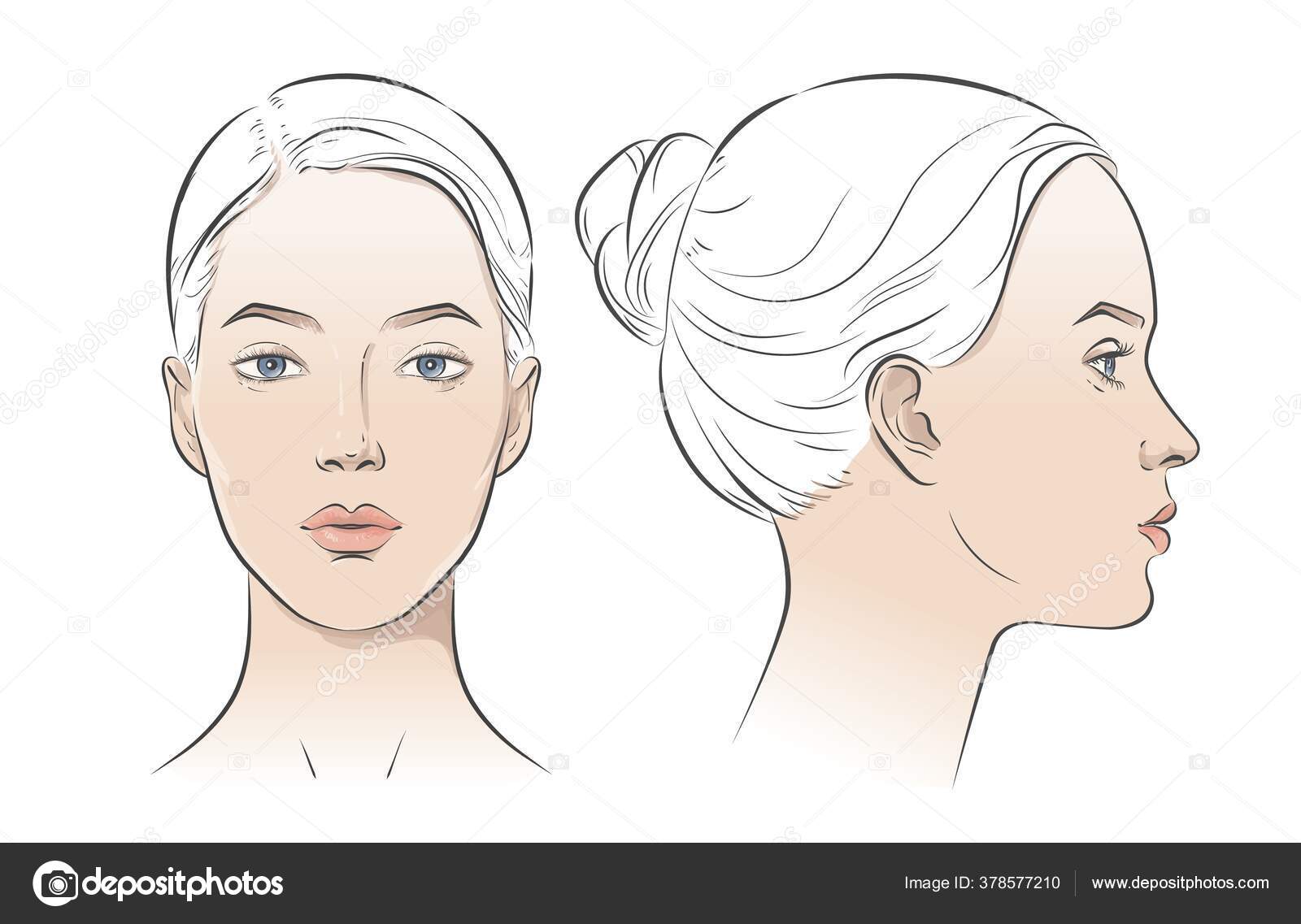 Women portrait three dimension angles. Vector illustration Stock Vector ...