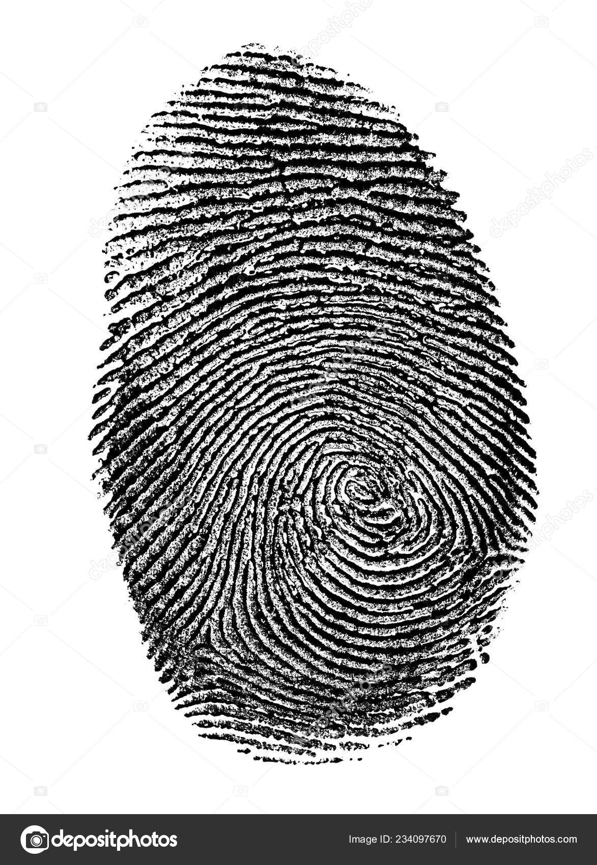 Fingerprint Black White Real Fingerprint Isolated Transparent Paper ...