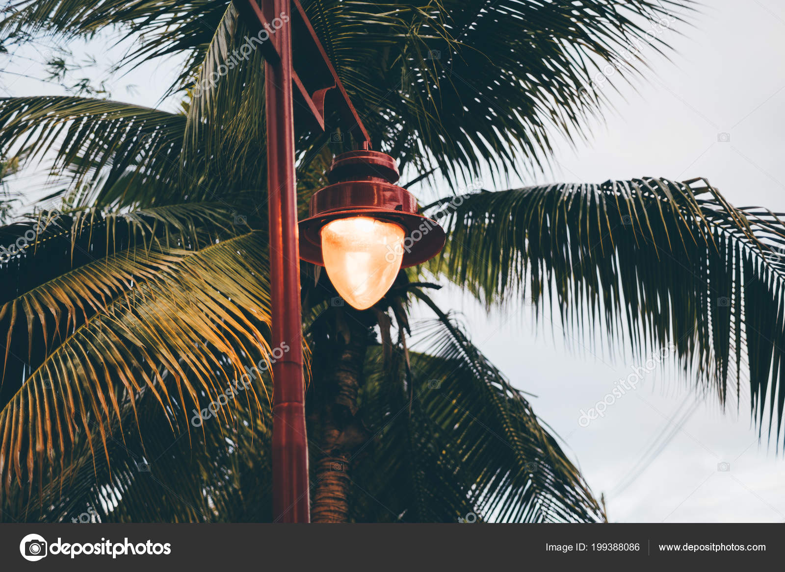 Beautiful Red Street Light Pole Palm Pillar Working Lantern Outdoors ...