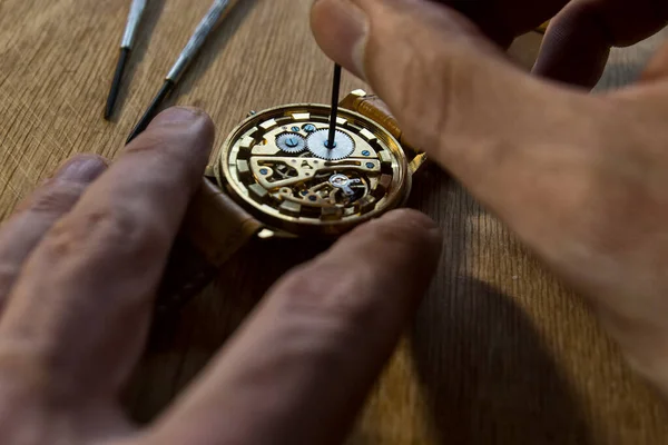 Swiss watchmaker Stock Photos, Royalty Free Swiss watchmaker Images ...