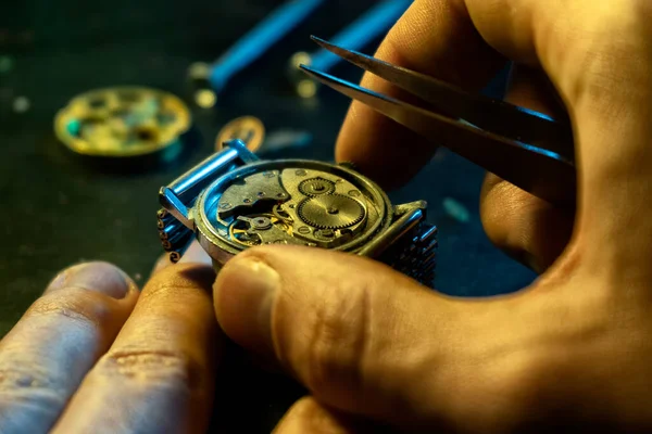 Swiss watchmaker Stock Photos, Royalty Free Swiss watchmaker Images ...