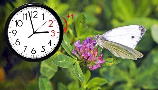 Daylight Saving Time. DST. Wall Clock going to winter time. Turn time ...