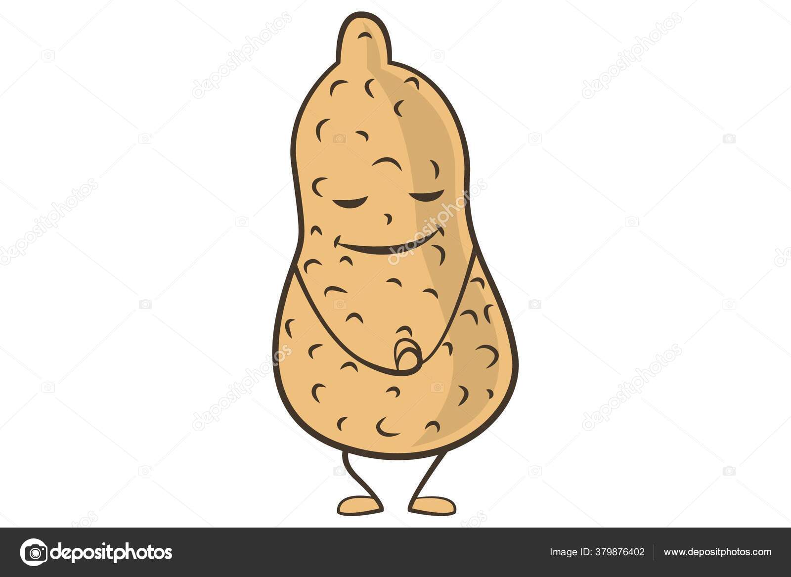 Vector Cartoon Illustration Groundnut Smiling Isolated White Background ...