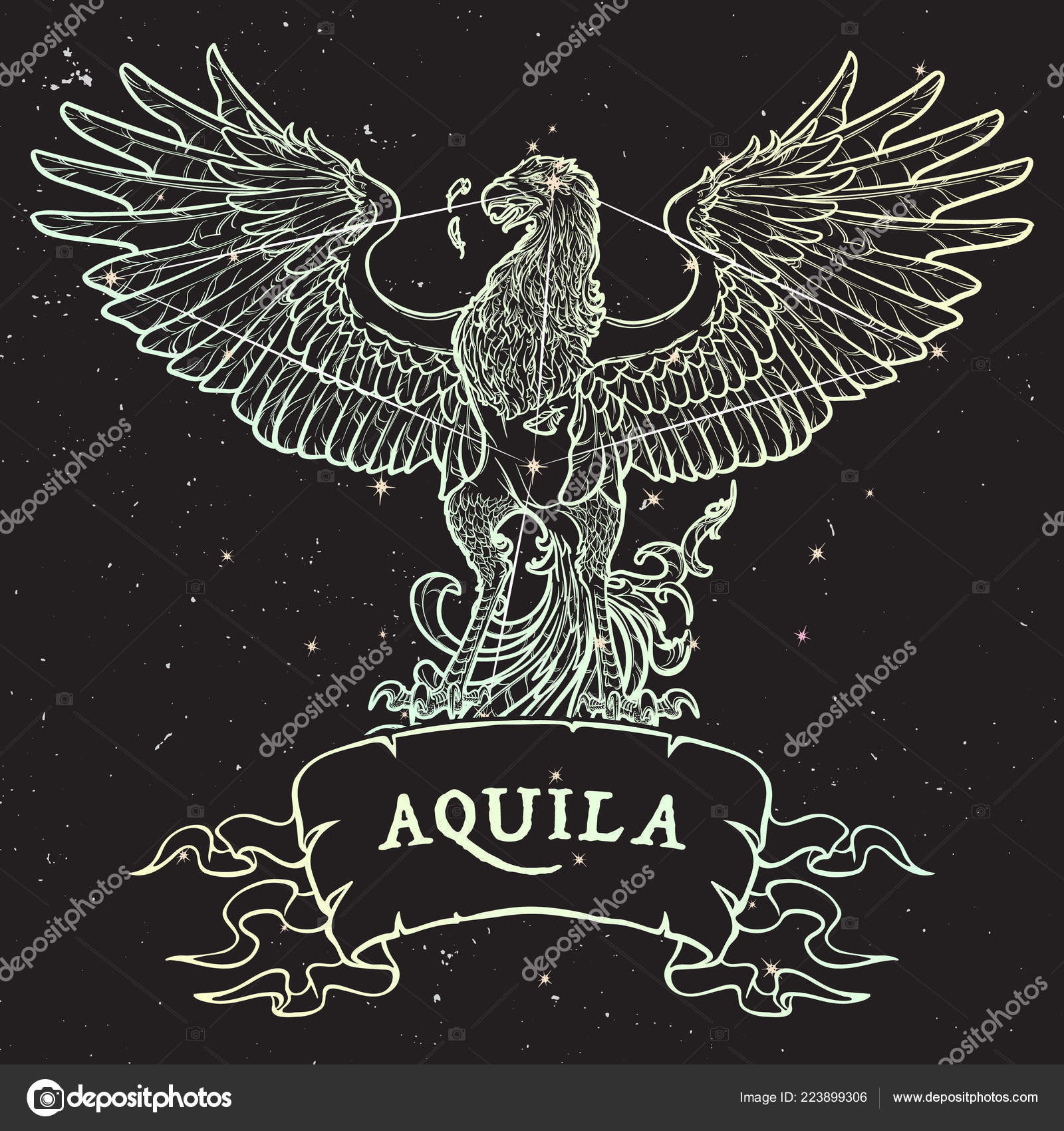 Aquila Eagle