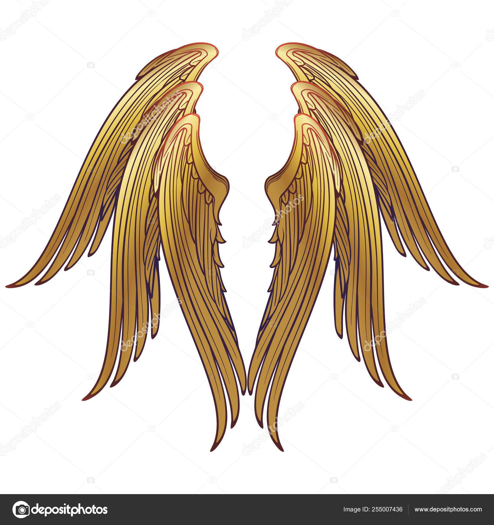 Seraphim Angels In The Bible
