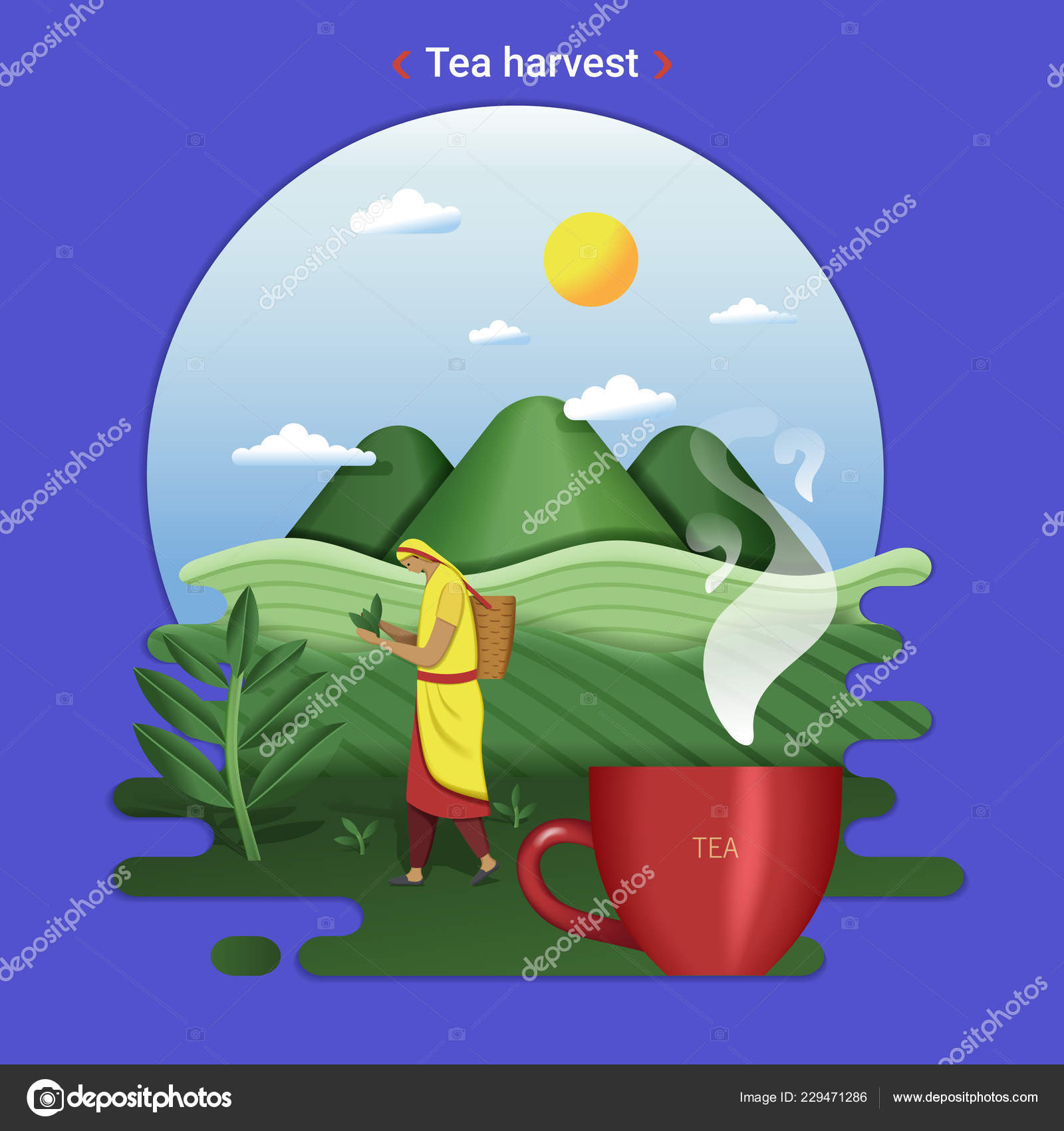 Flat Farm Landscape Illustration Tea Harvest Rural Landscape Tea Hills ...