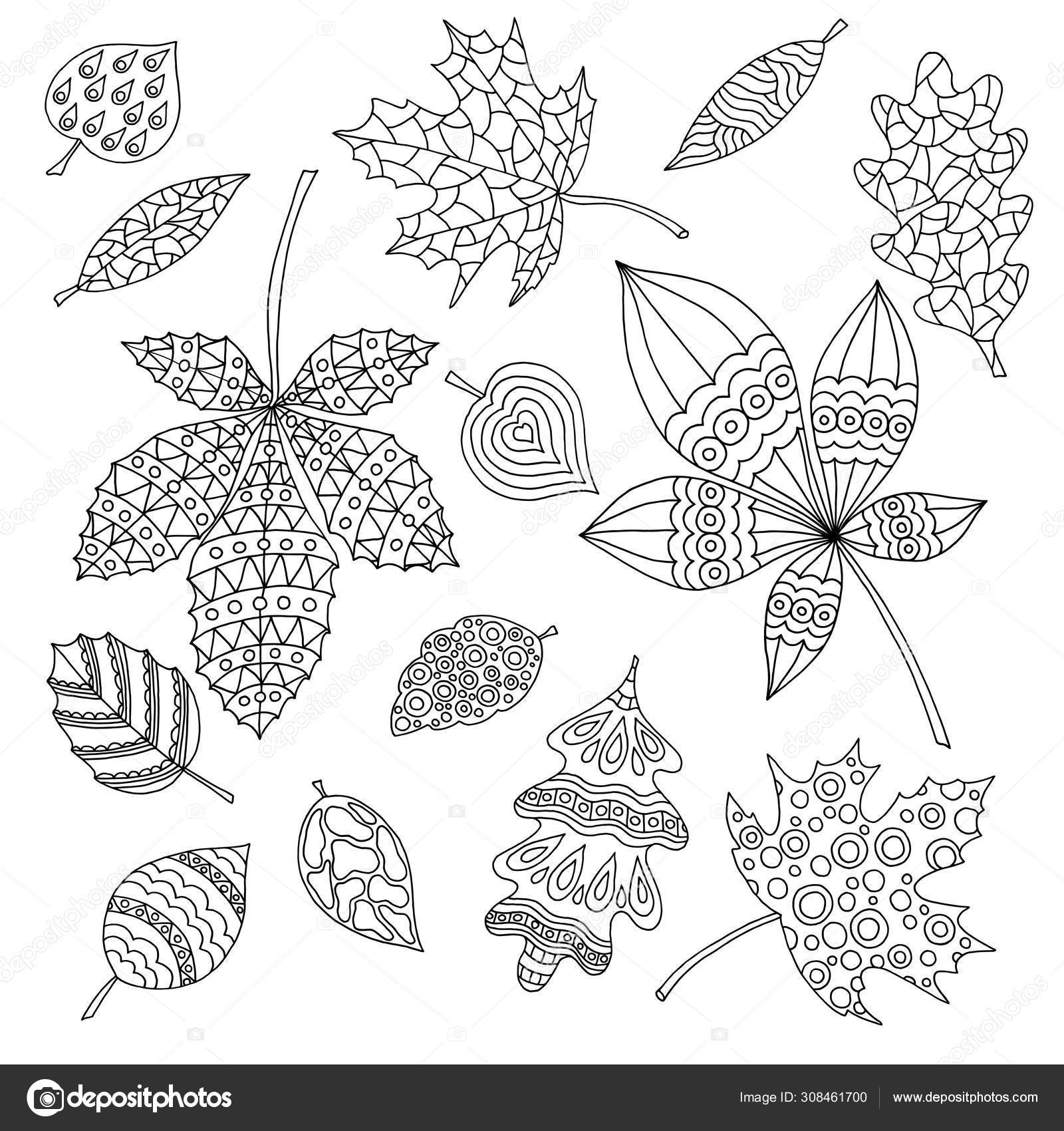 Chestnut Tree Leaf Coloring Pages
