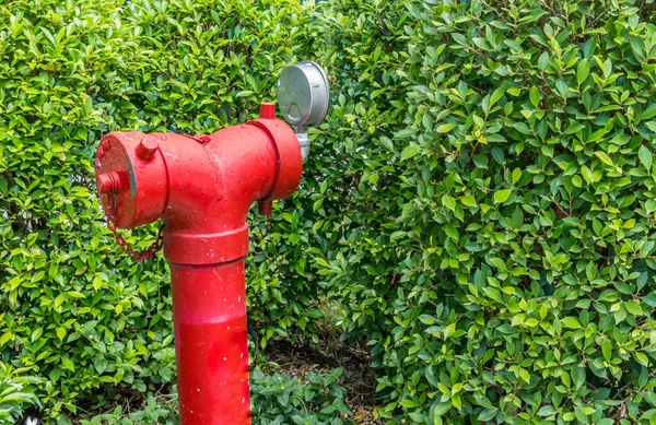 Fire hydrant system Stock Photos, Royalty Free Fire hydrant system ...