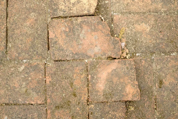 Old cracked paving slabs Stock Photos, Royalty Free Old cracked paving ...