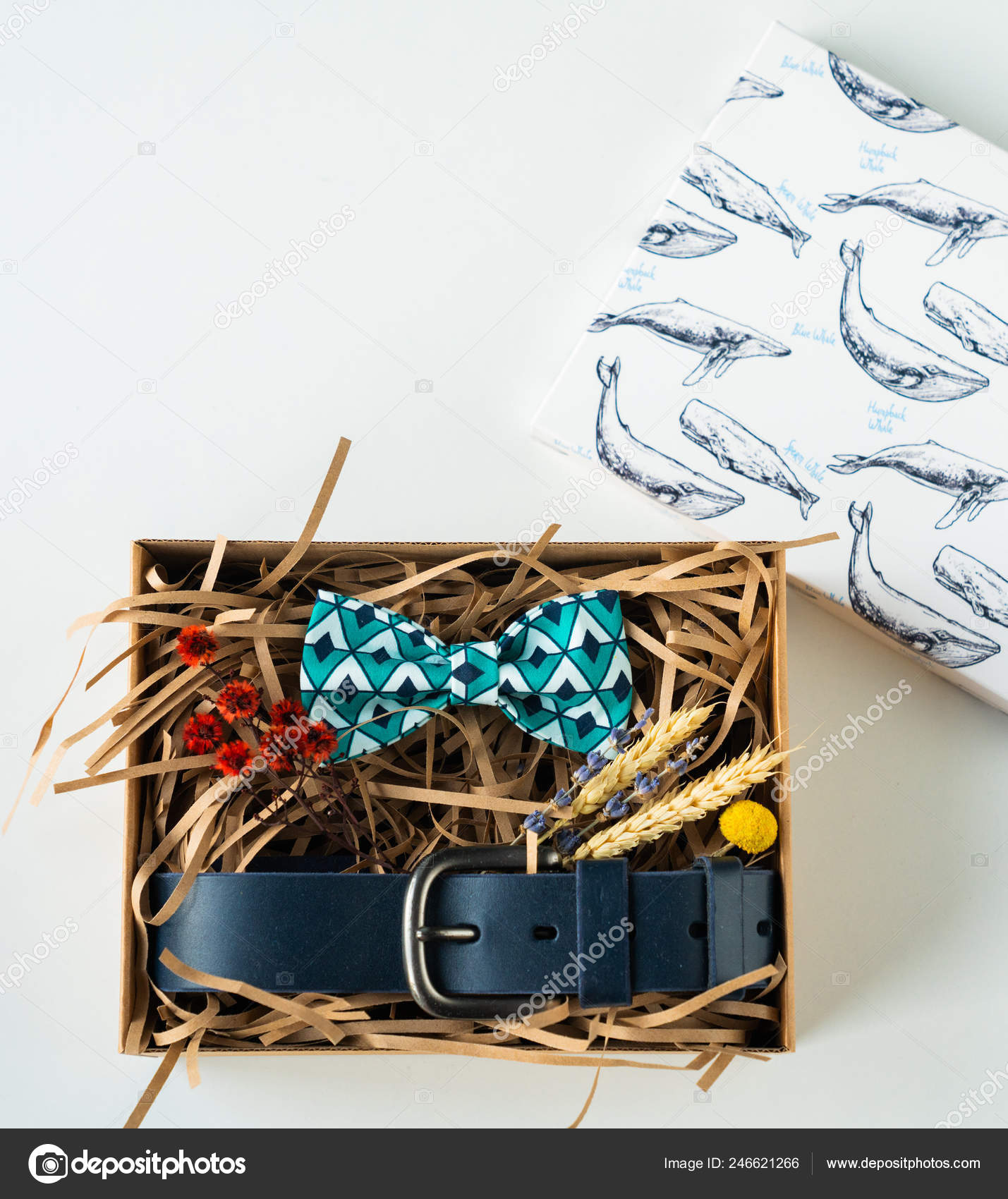 Wrapped Gift Bow Tie Belt Gift Man — Stock Photo © Dobry.v #246621266