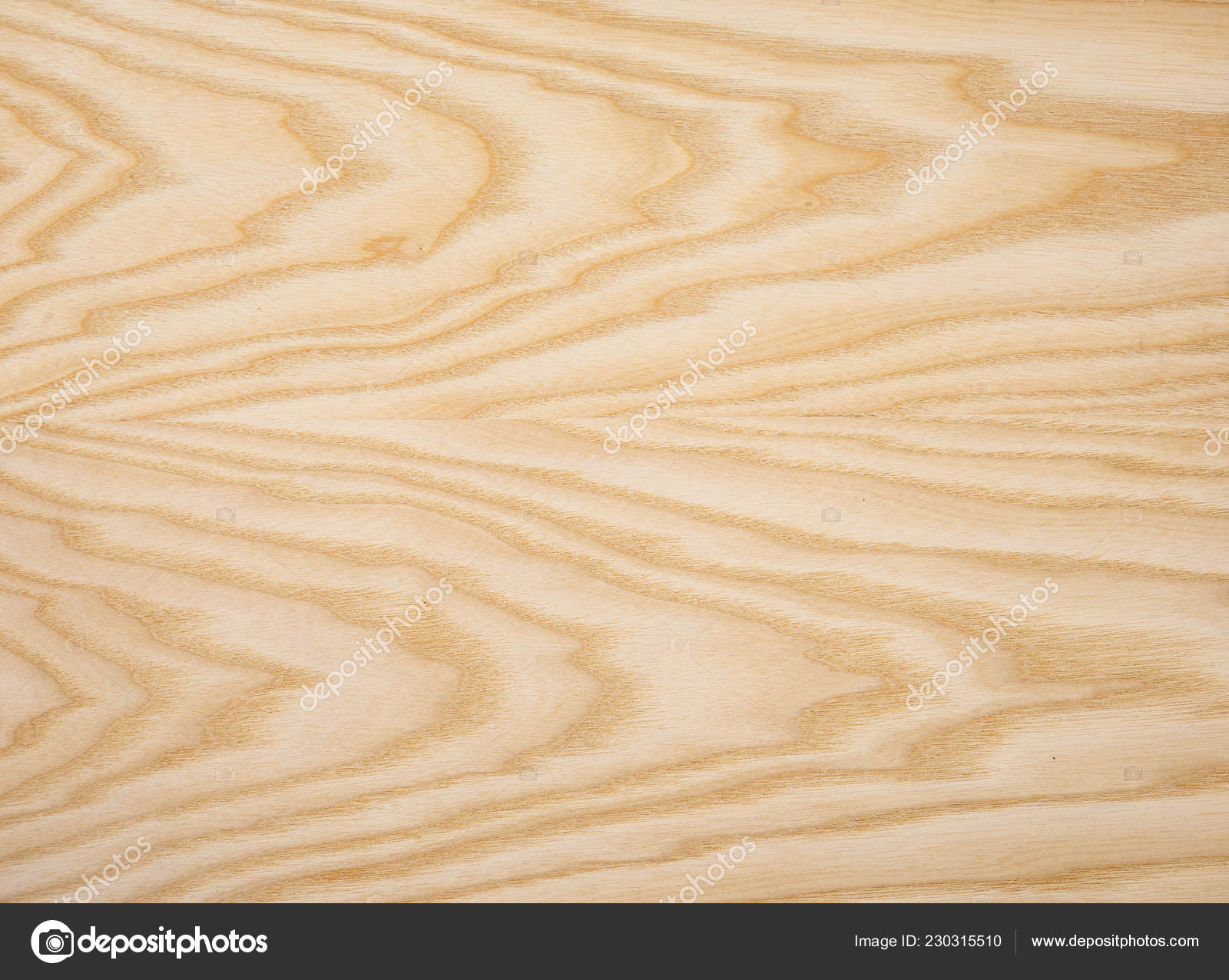 White Ash Wood Texture