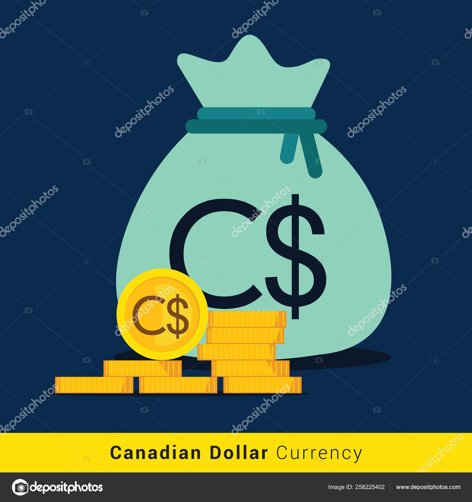Bag Of Canadian Money