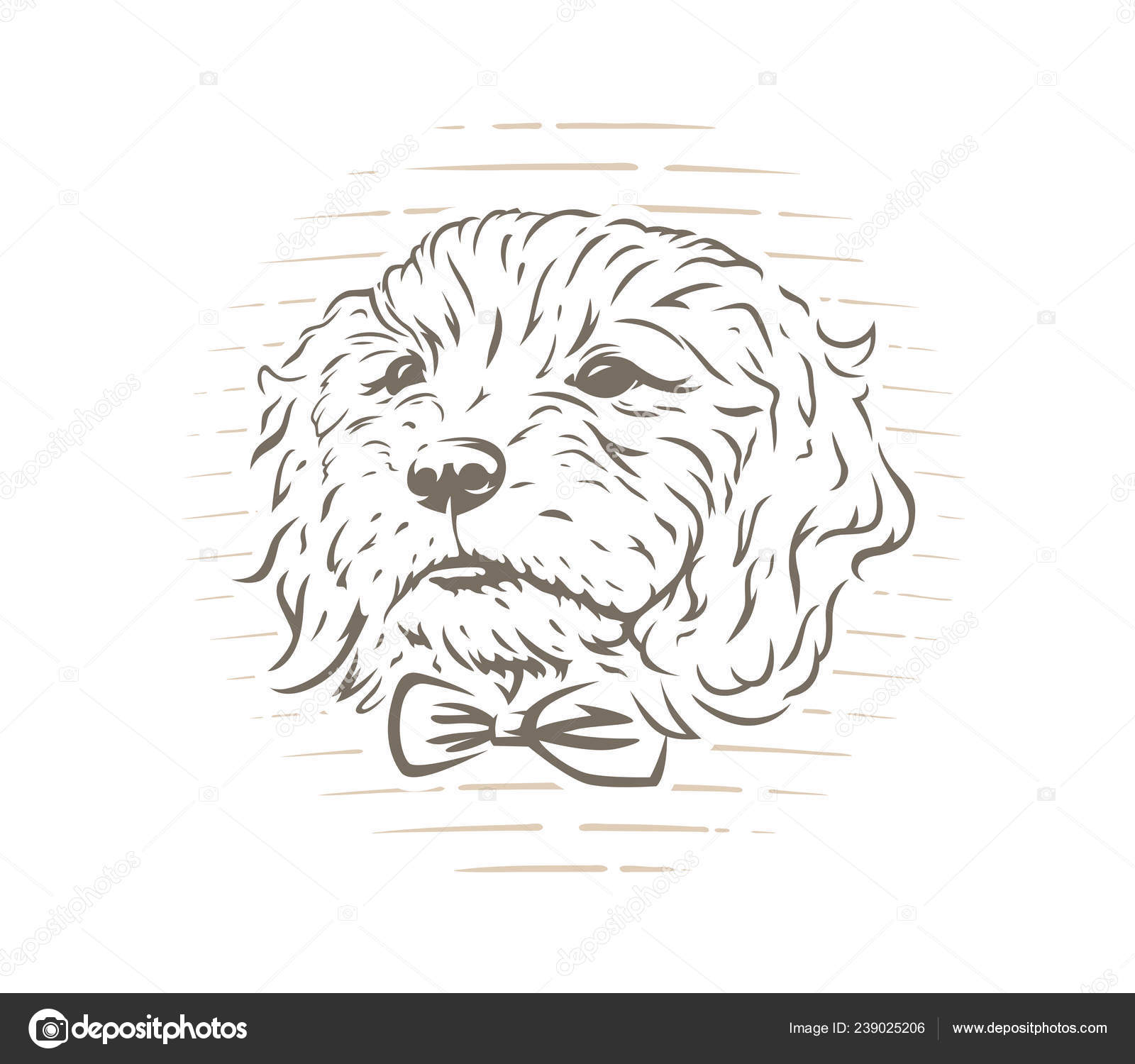 Cute Cockapoo Dog Puppy Bow Tie Vector Illustration White Background ...