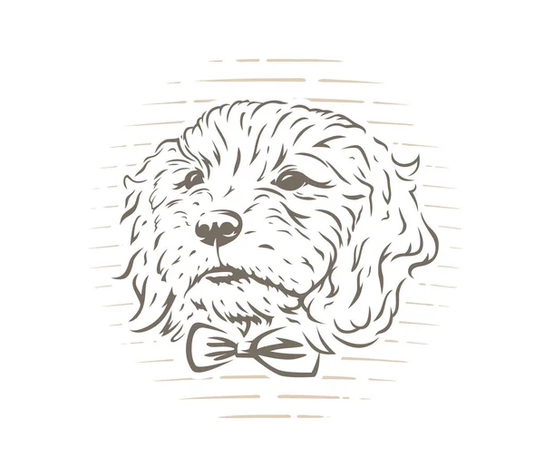 57 Cockapoo Vector Images - Free & Royalty-free Cockapoo Vectors ...