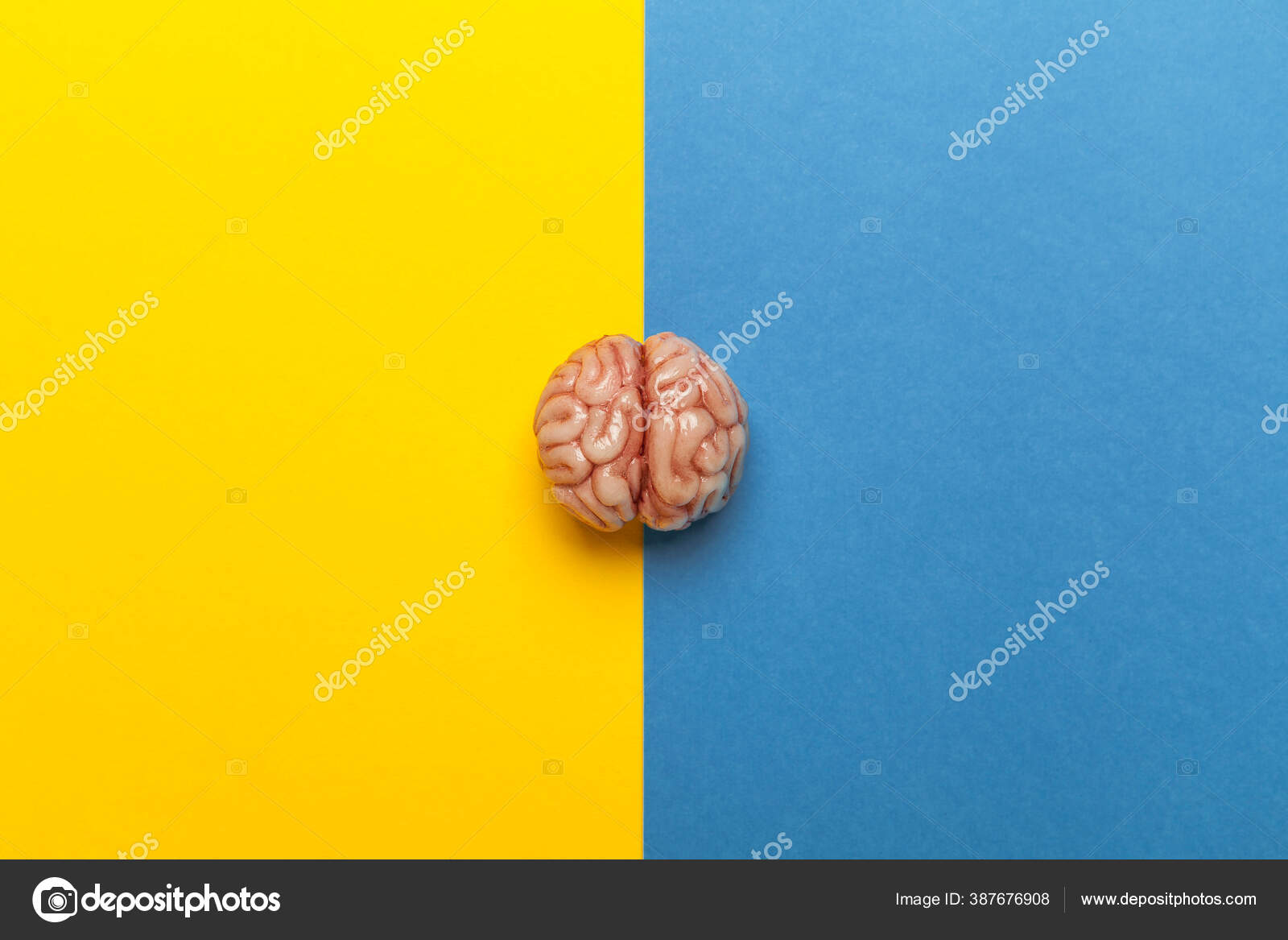 Human Brain Split Personality Two Psychological Conditions — Stock ...