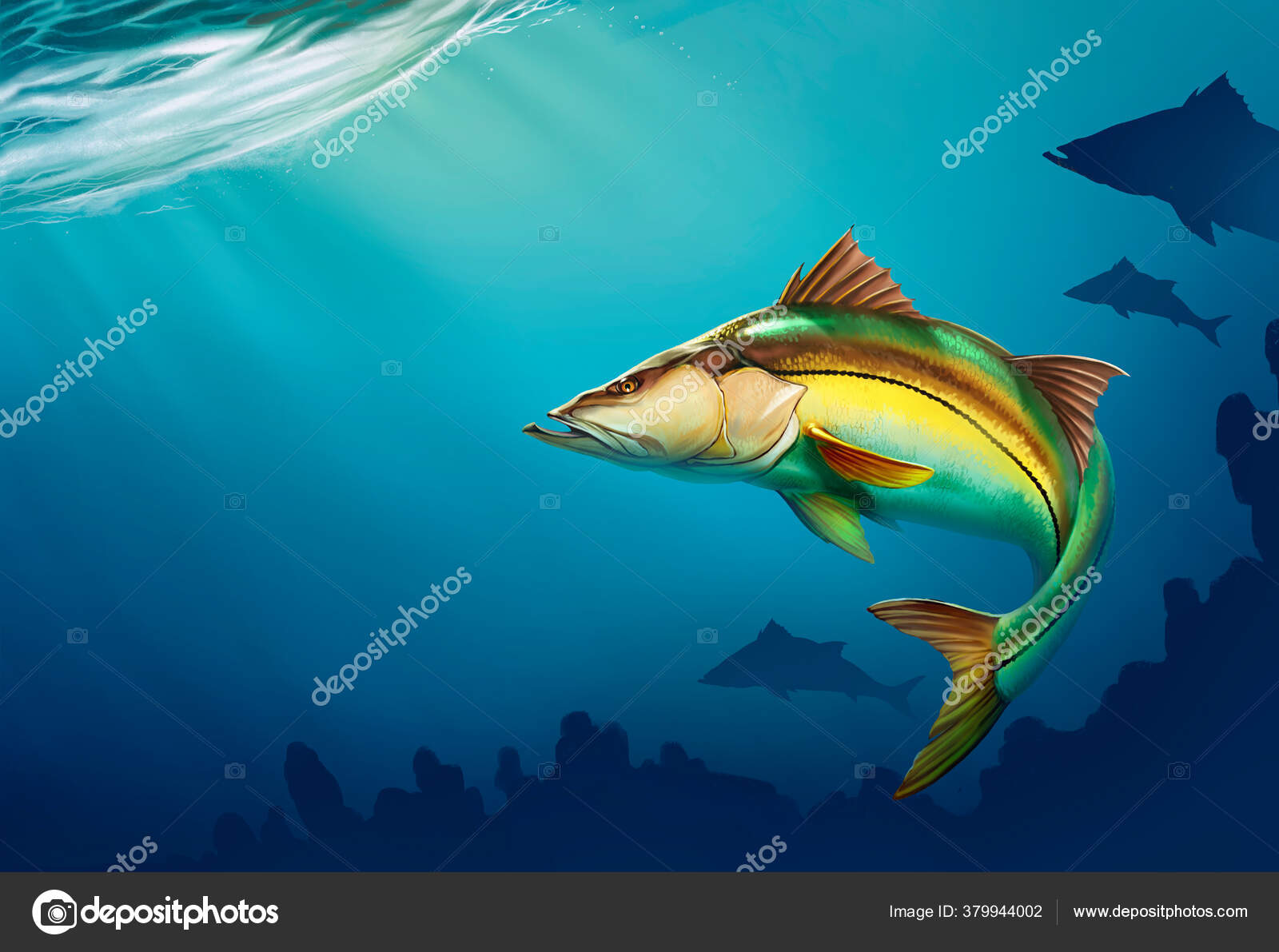 Snook Drawing Jumping