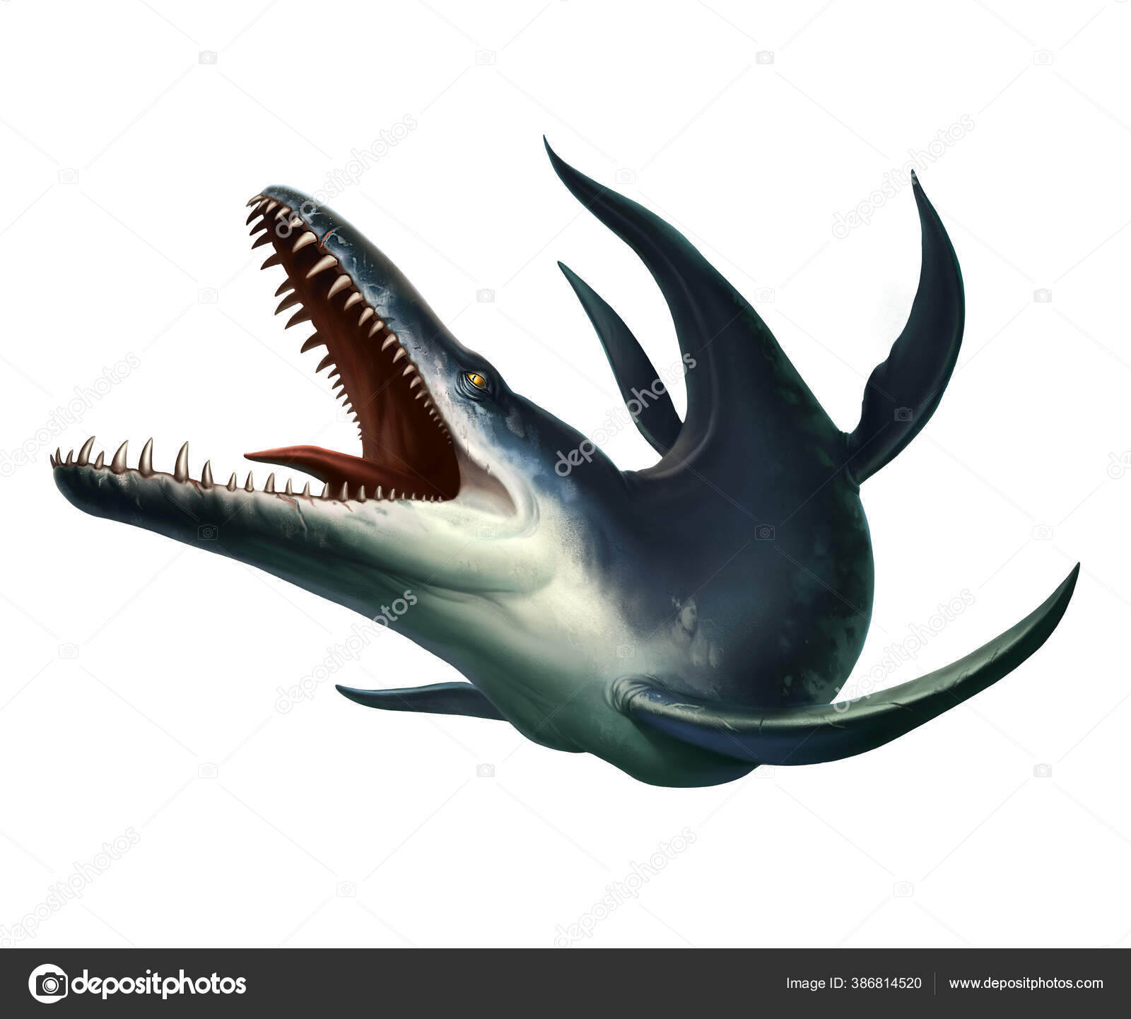 Cretaceous Sea Animals
