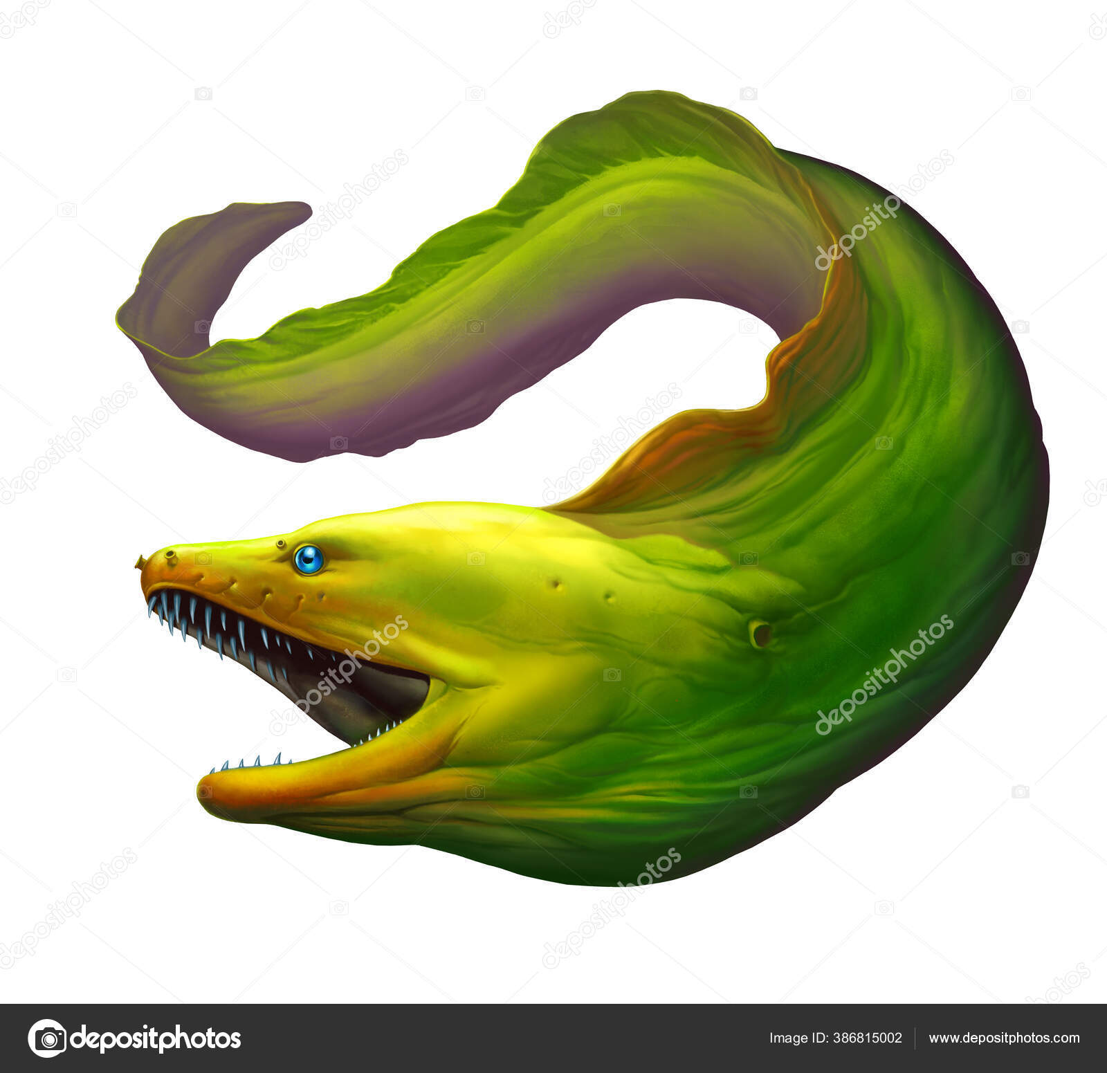 Moray Eel Green Large Green Moray Eel Open Mouth Thick Stock Photo by ...