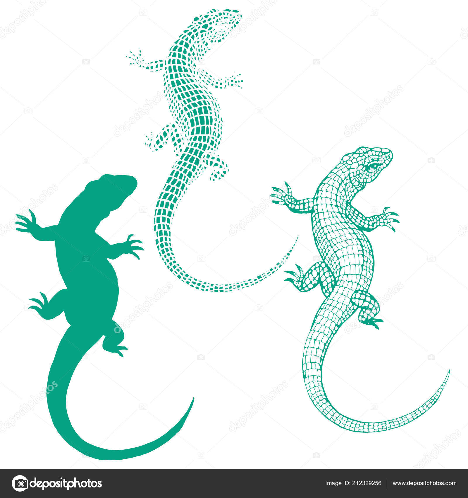Lizard Reptile Line Art Silhouette Collection Set Hand Drawn Vector ...