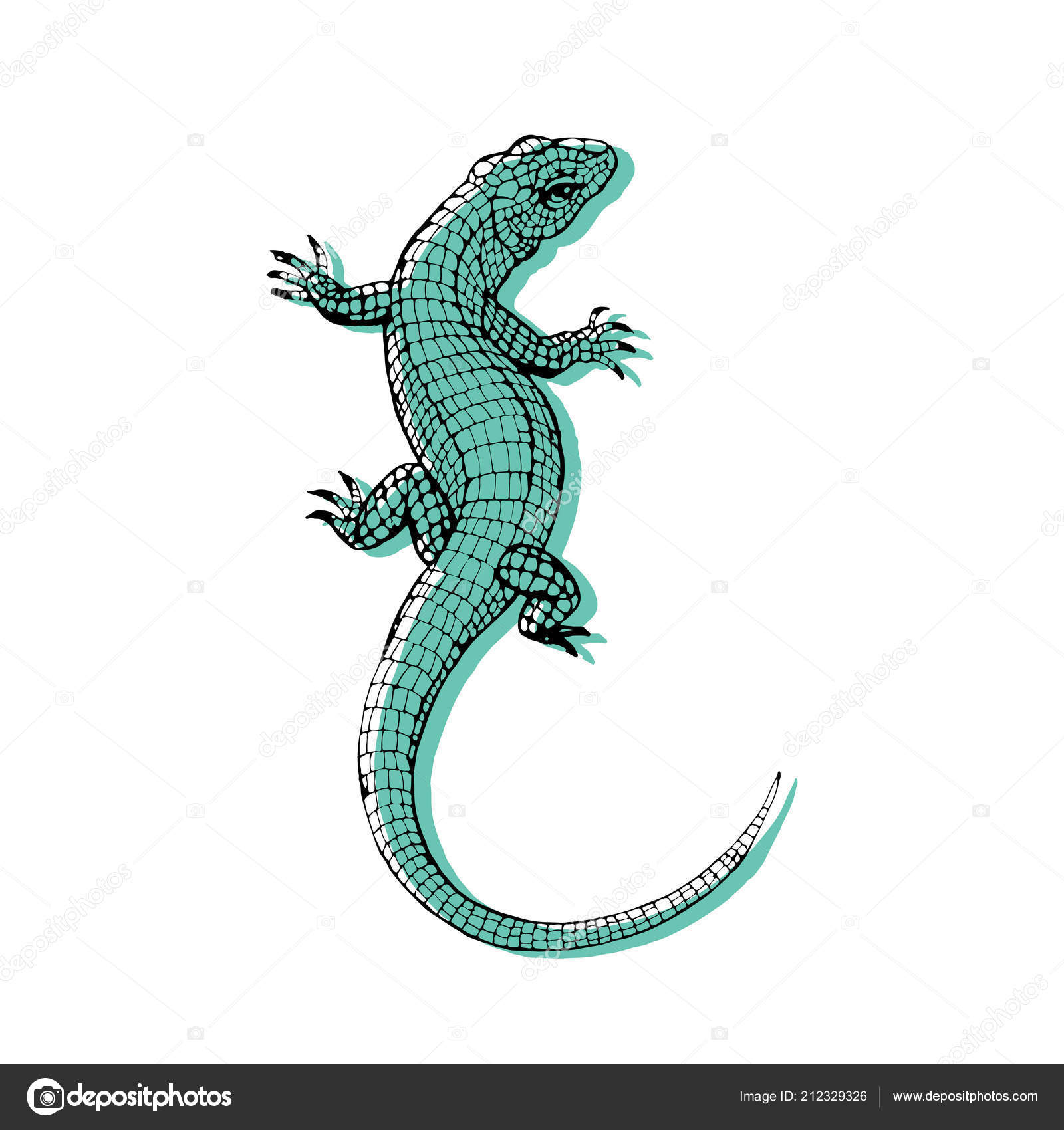 Lizard Reptile Line Art Hand Drawn Vector Sketch Ink Illustration Stock ...