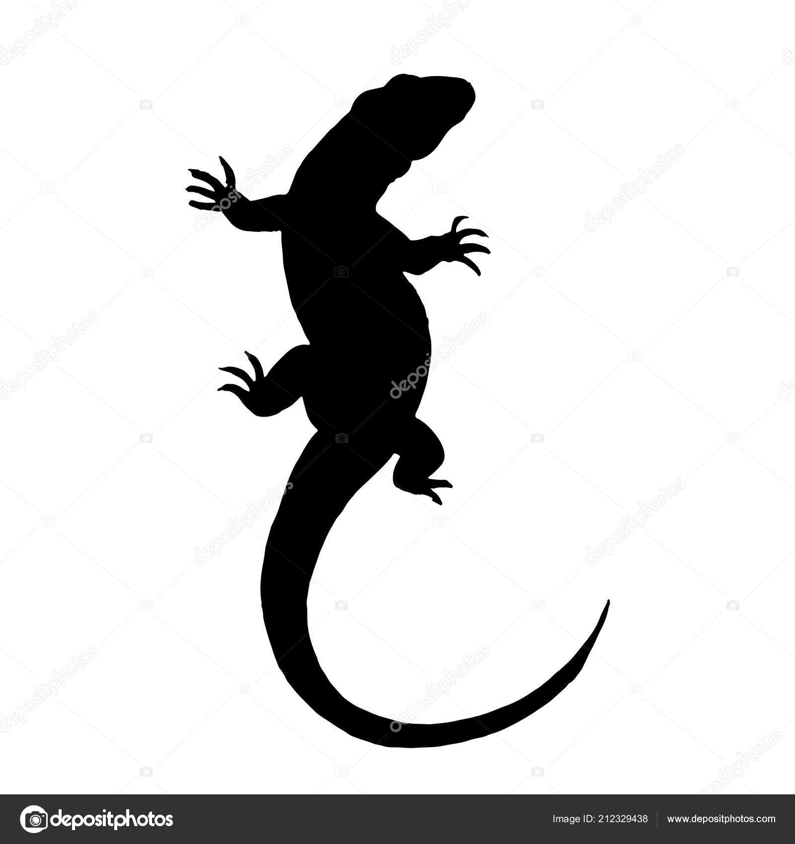 Reptile Silhouette Black Lizard Reptile