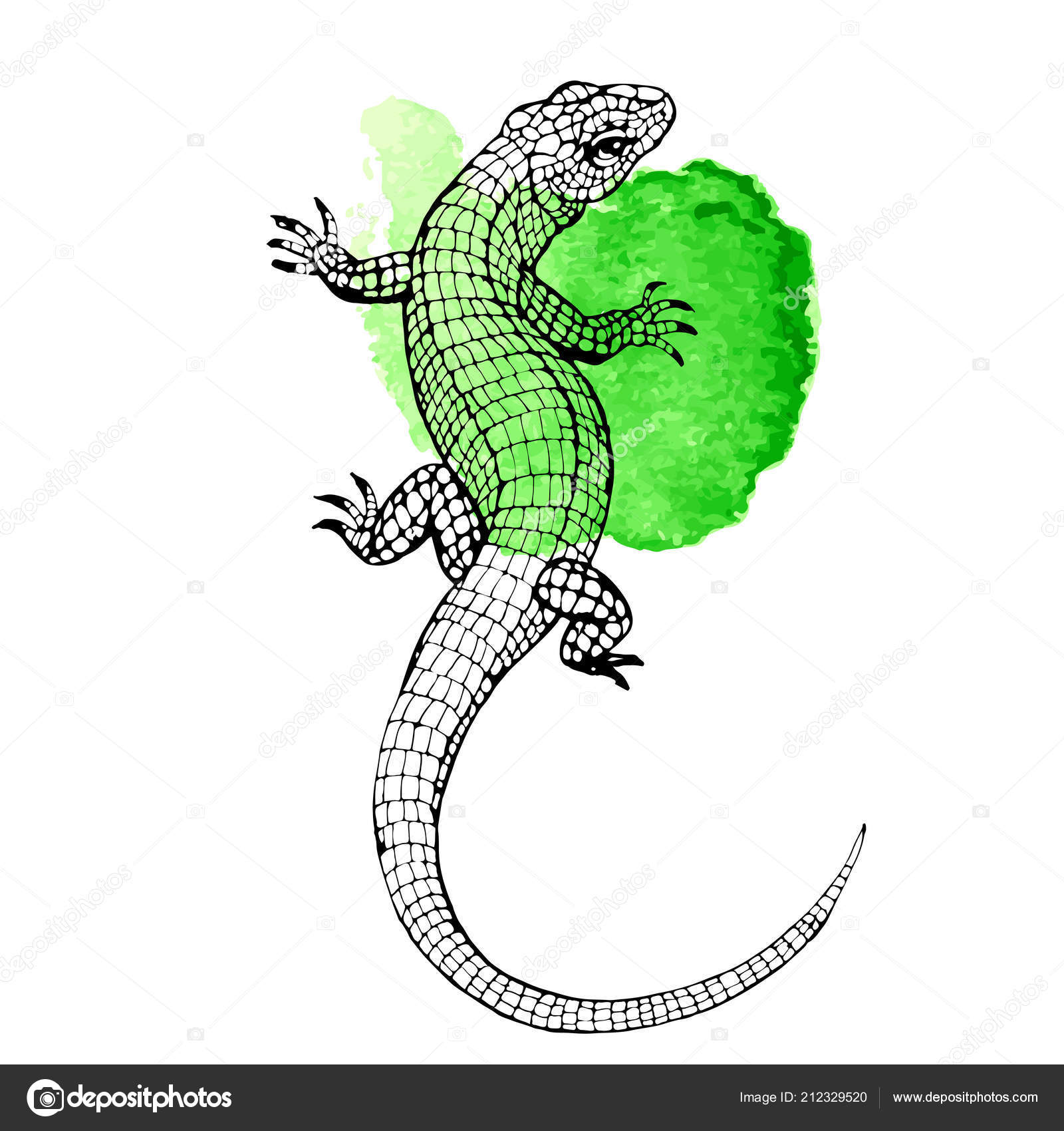Lizard Reptile Line Art Hand Drawn Vector Sketch Ink Illustration Stock ...