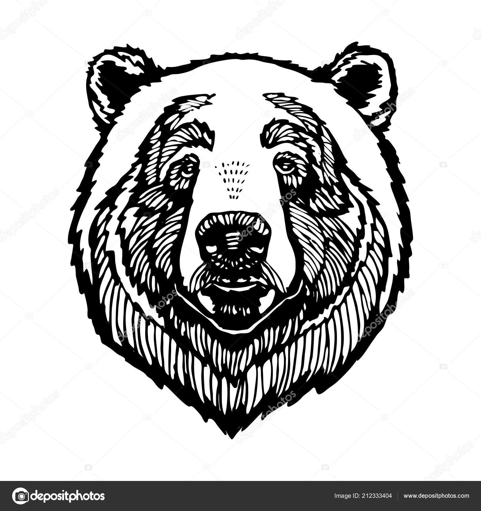 Bear Head Black And White